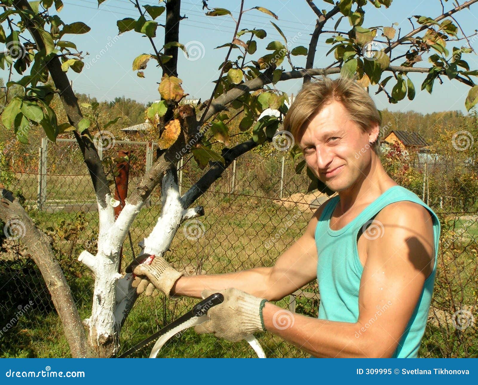 Young Man Working in a Garden Stock Image - Image of sunny, attractive ...