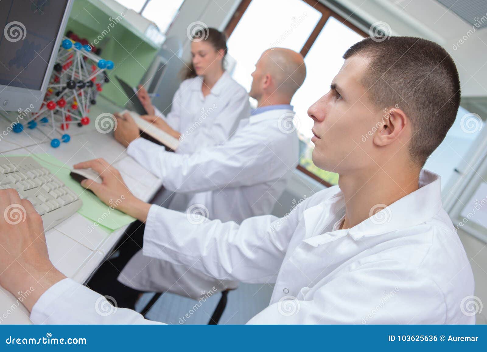 Young Man Working at Medical Laboratory Using Computer Stock Photo ...