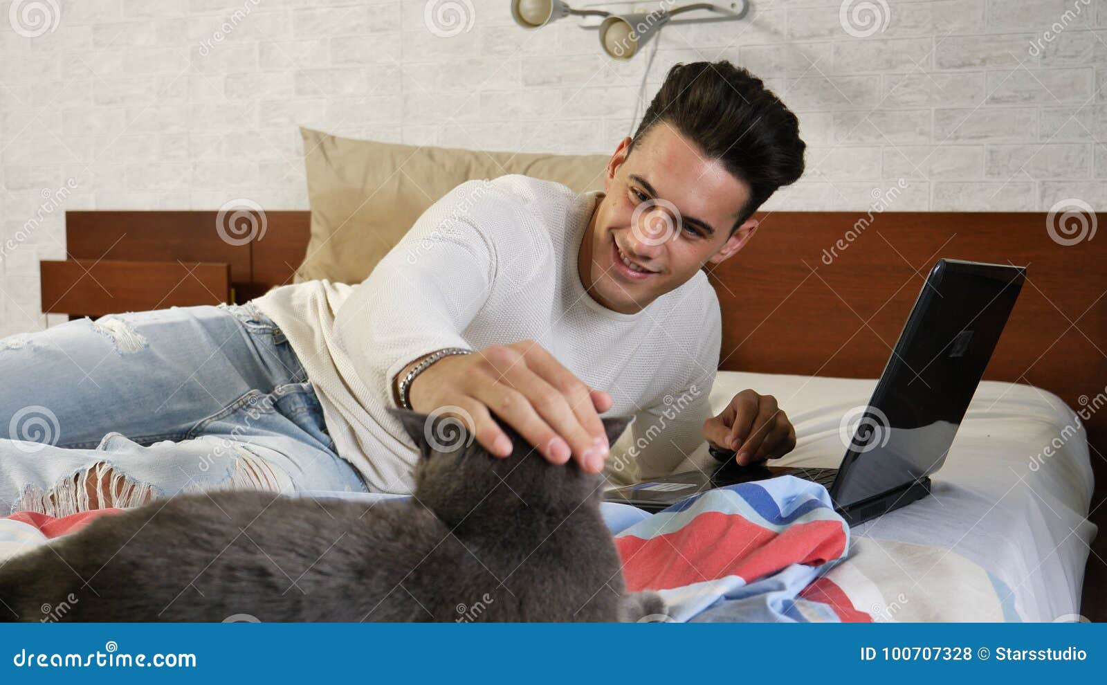 Young Man Working on PC, Petting Pet Cat Stock Photo - Image of home ...