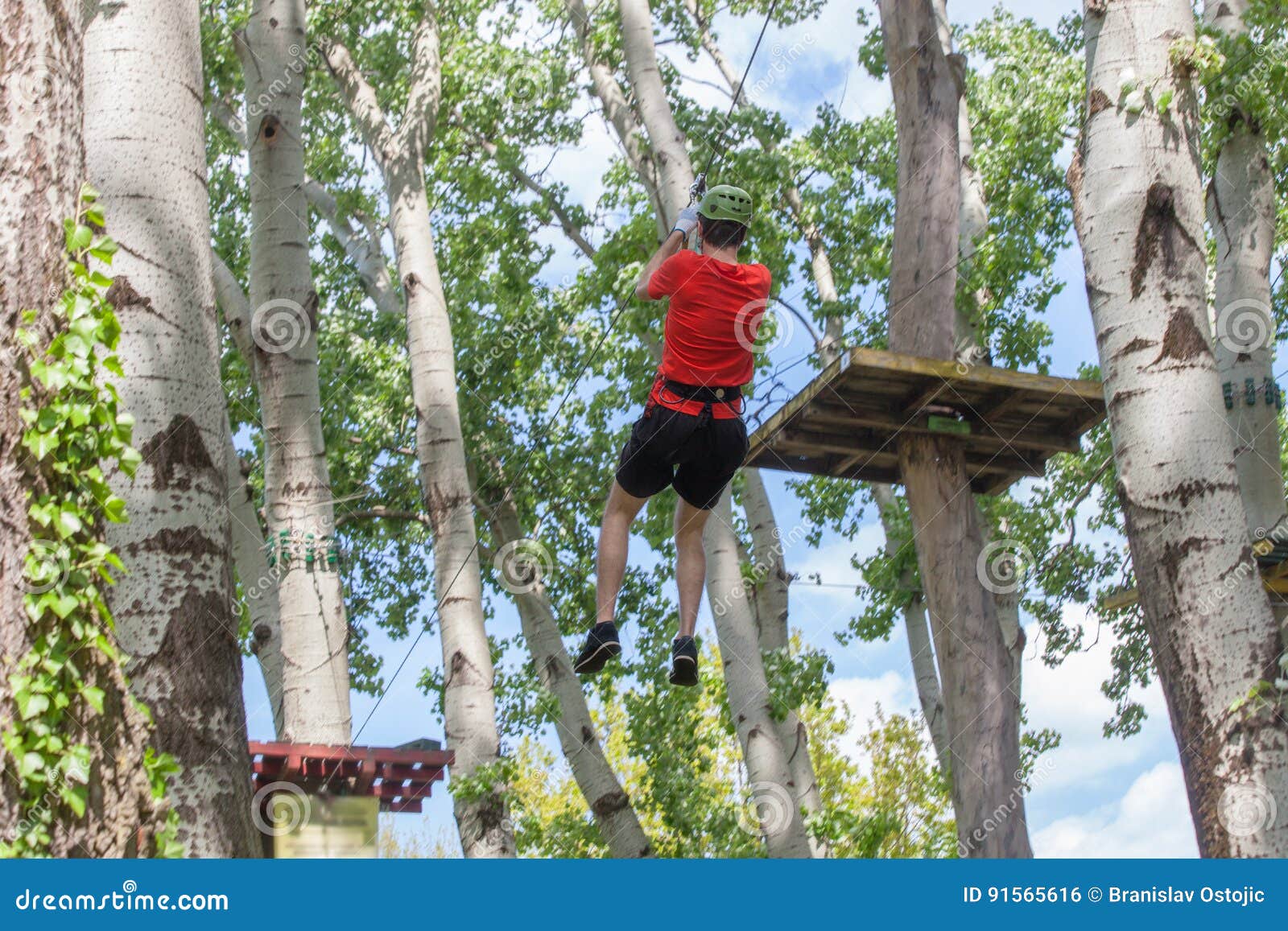Young Man on Zipline in Adventure Park Stock Photo - Image of green ...