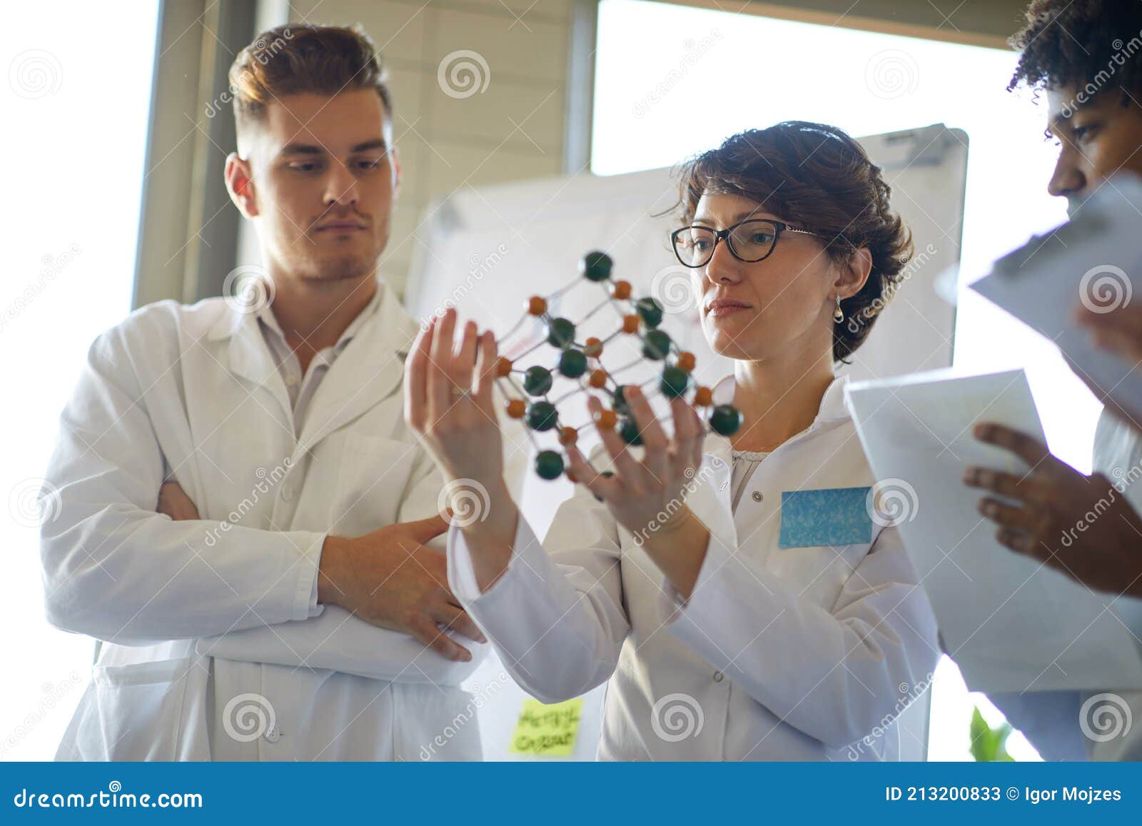 Young Medical Students Having Lecture in the Lab Stock Image - Image of ...