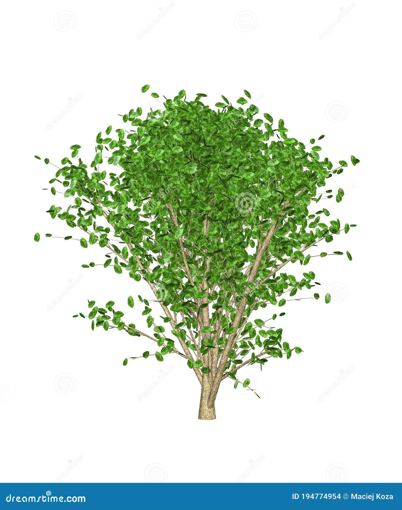 Medlar Tree Branch With Fruit In Realistic Style Art Royalty-Free Stock ...