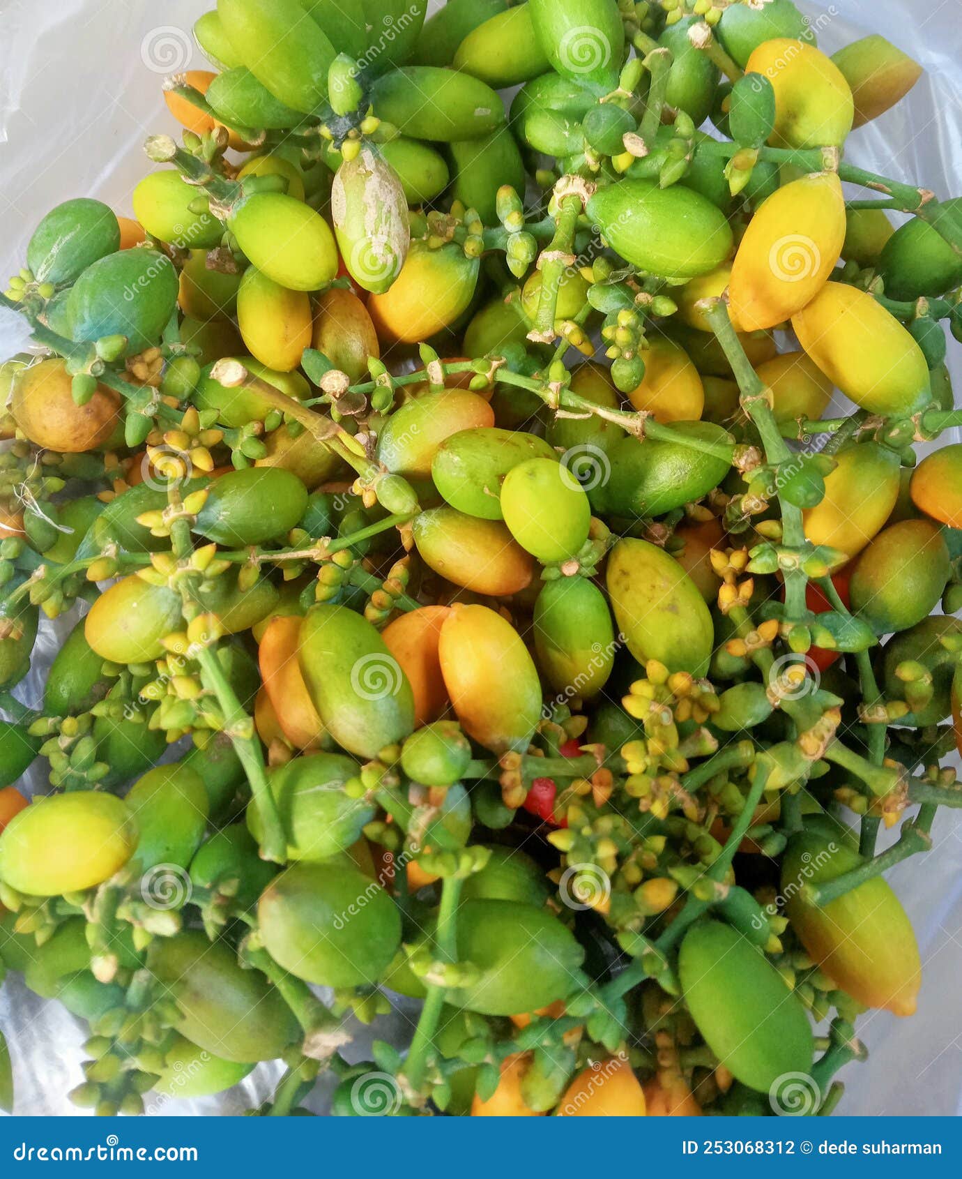 Young Melinjo Seeds, Cooked for Vegetables, or Processed into Chips ...