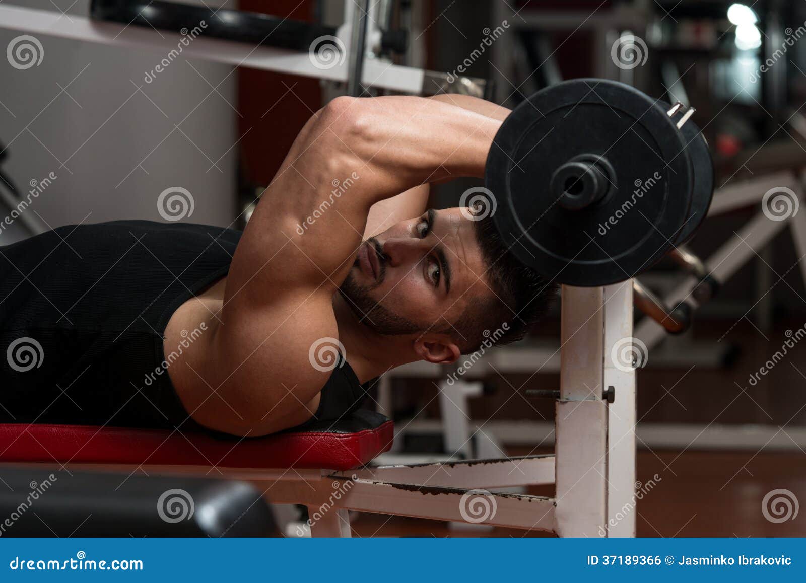 Young Men Doing Exercise for Triceps Stock Photo - Image of body ...