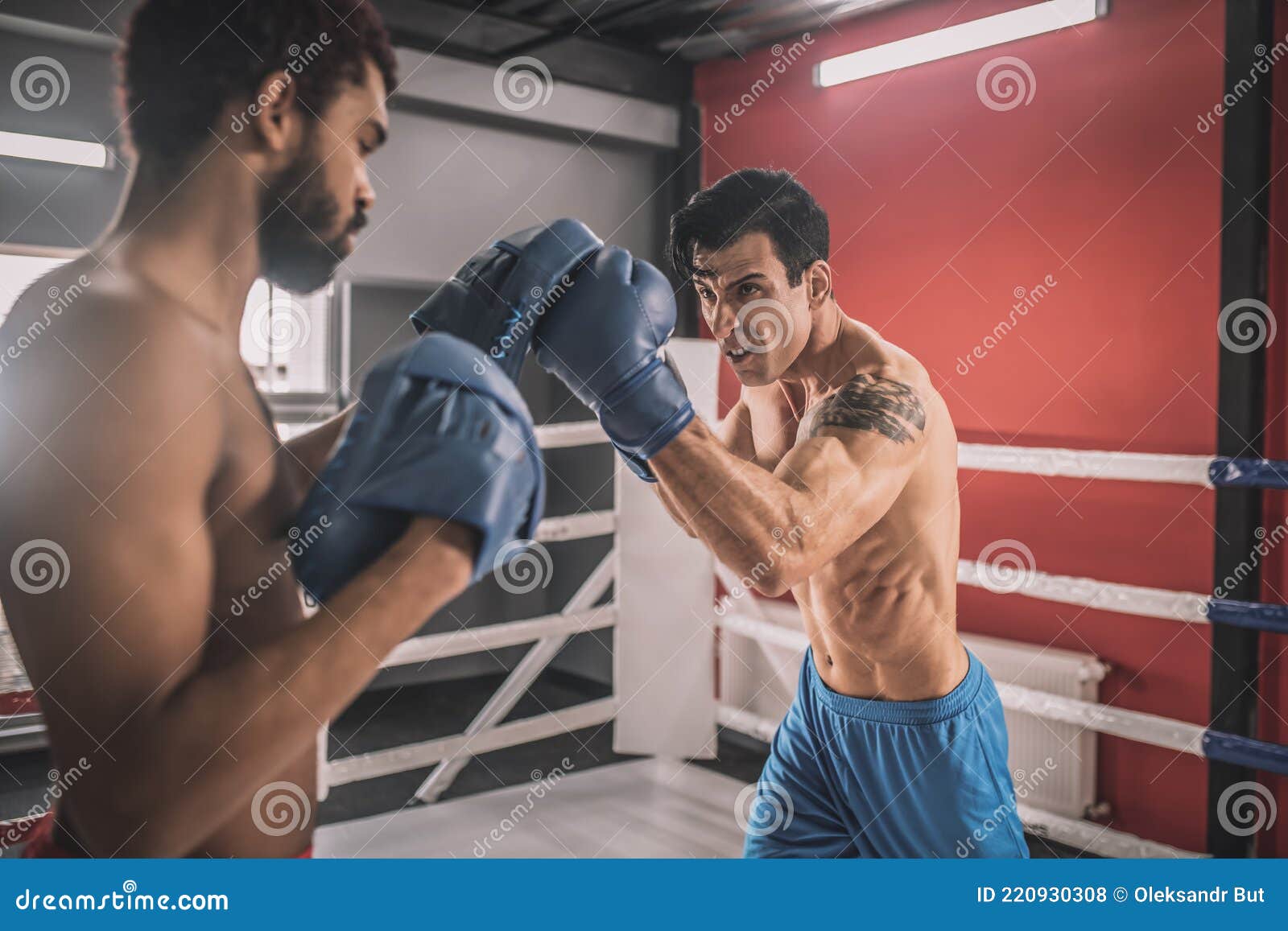Young Men Fighting on a Boxing Ring and Looking Determined Stock Photo ...