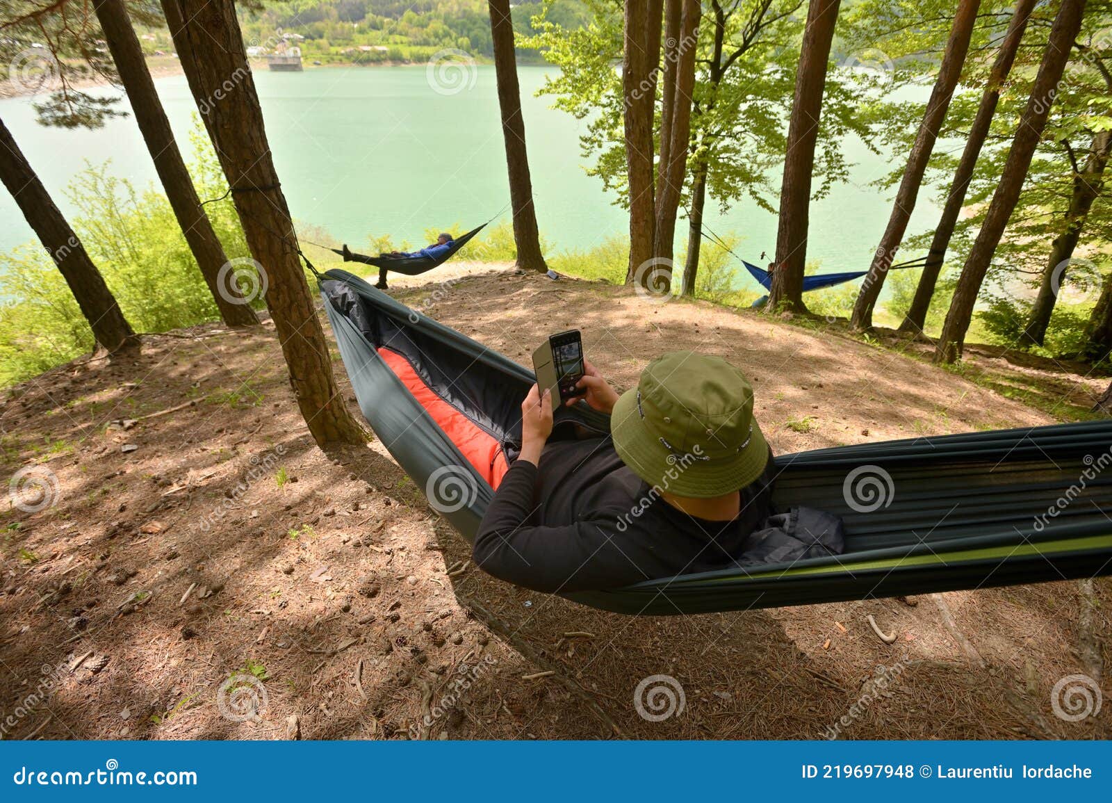 Hammock In Oak Tree Royalty-Free Stock Photography | CartoonDealer.com ...