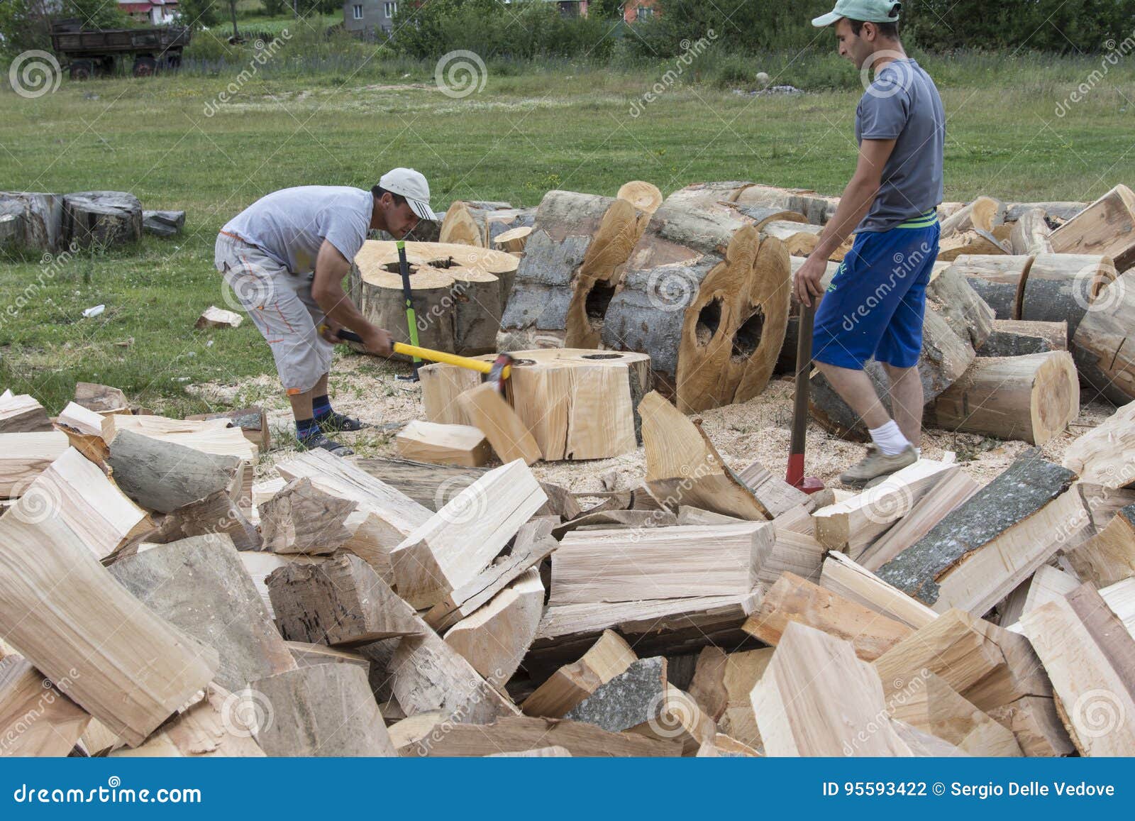 Young Men Split the Wood in Romania Editorial Photography - Image of ...