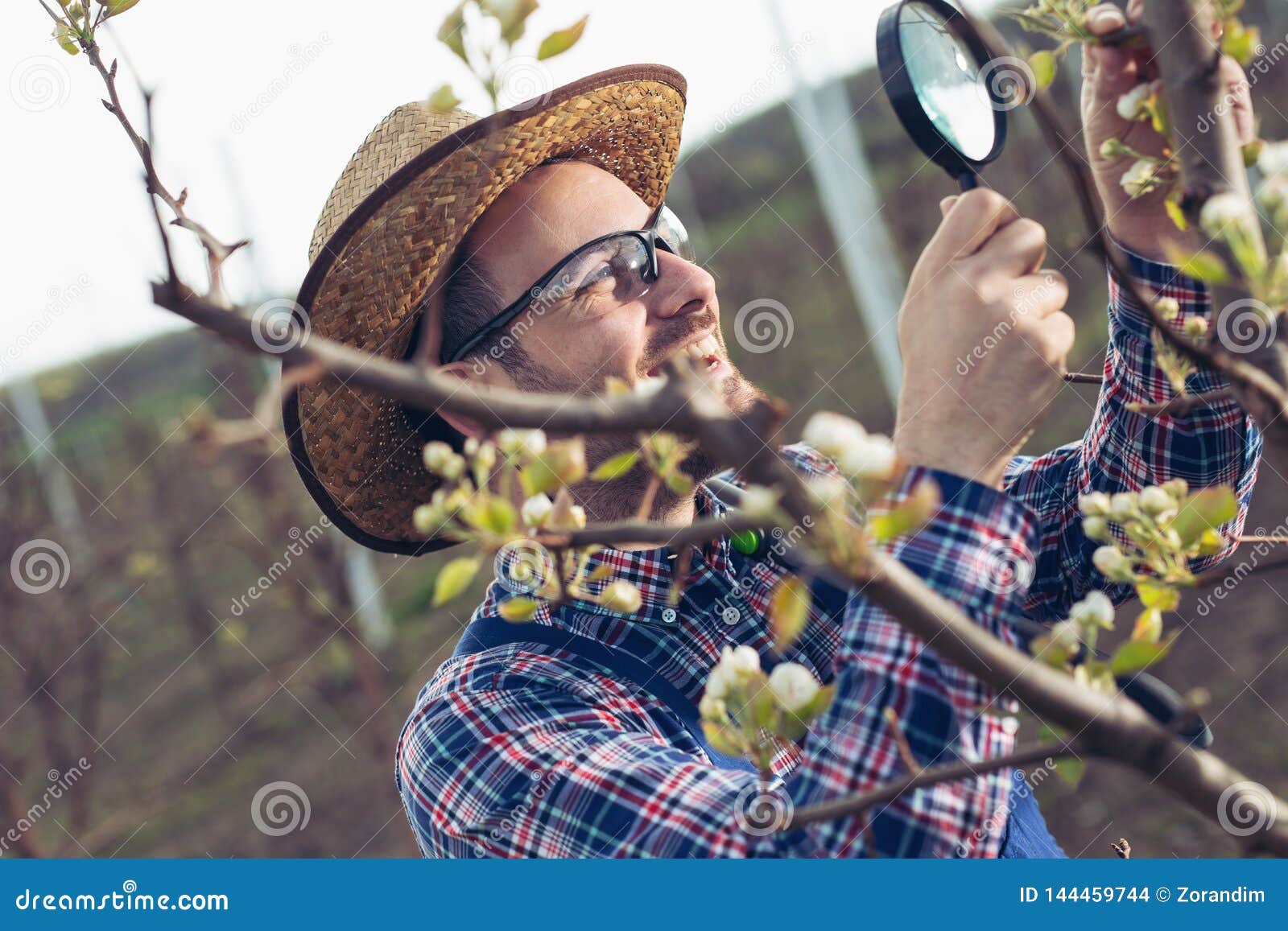 Young Farmer Using Magnifying Glass for Examining the Tree Stock Photo ...