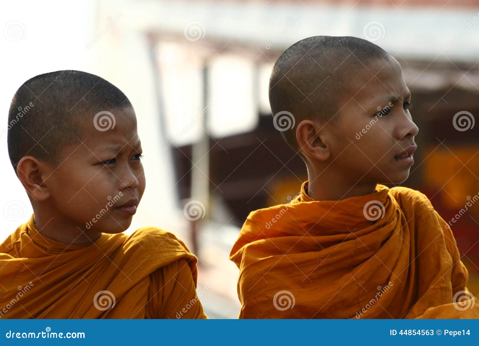 Young Monks In The Temple, Gangtok City,Sikkim India Editorial Image ...