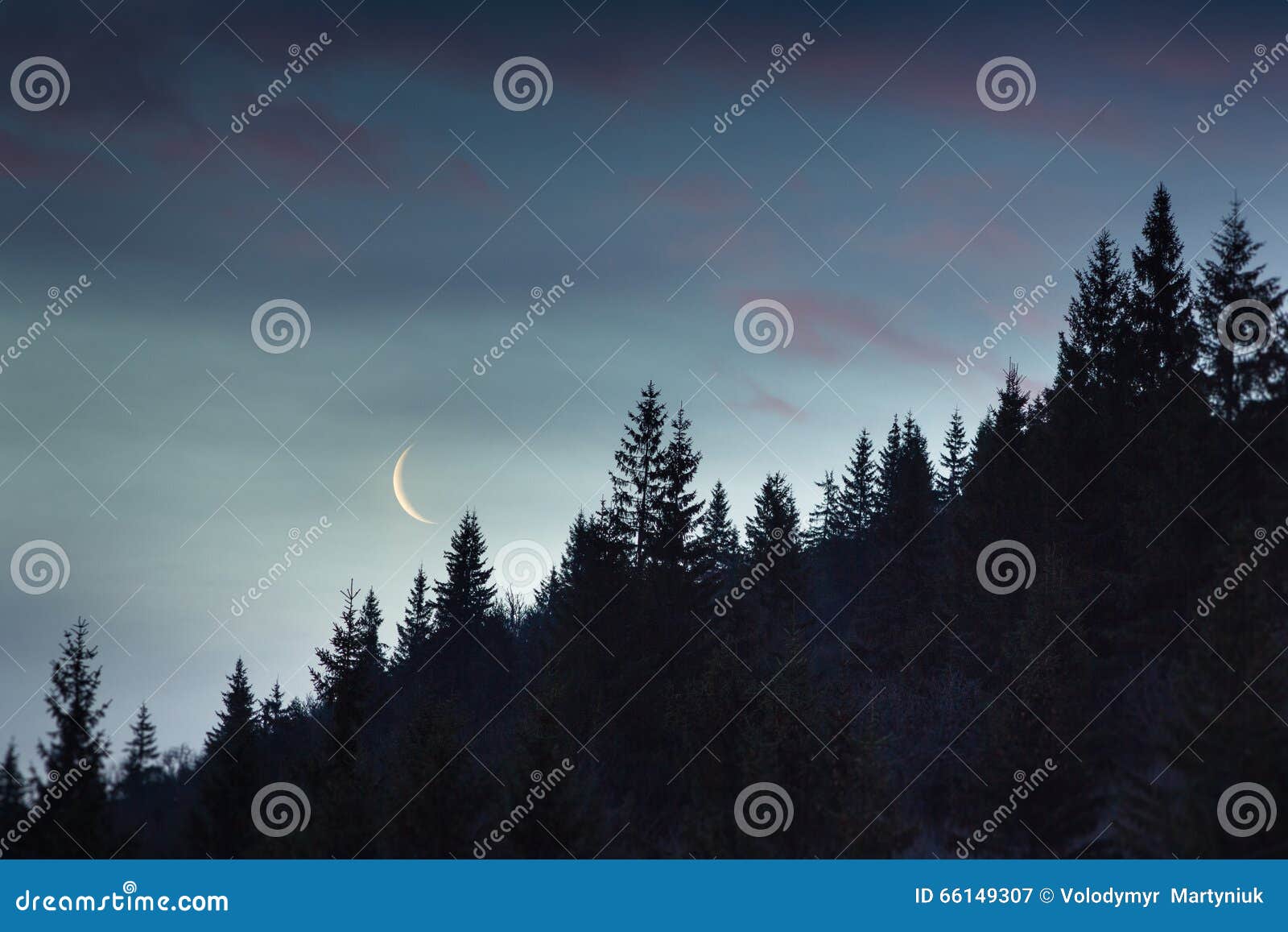 Young Moon Over the Forest. Stock Image - Image of white, tree: 66149307