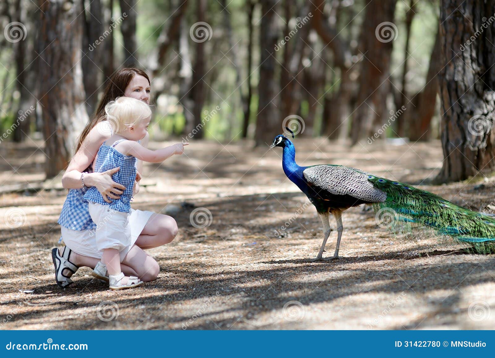 Young Mother and a Child Feeding a Peacock Stock Photo - Image of farm ...