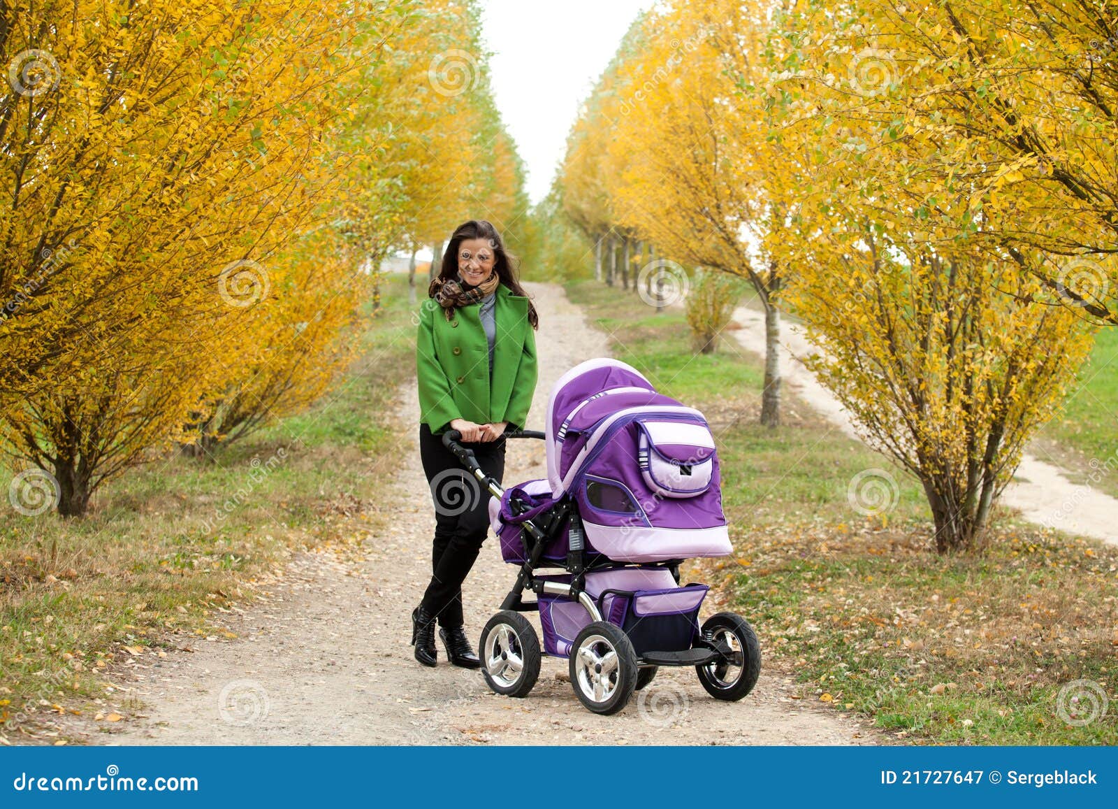 Young mother with stroller stock image. Image of green - 21727647