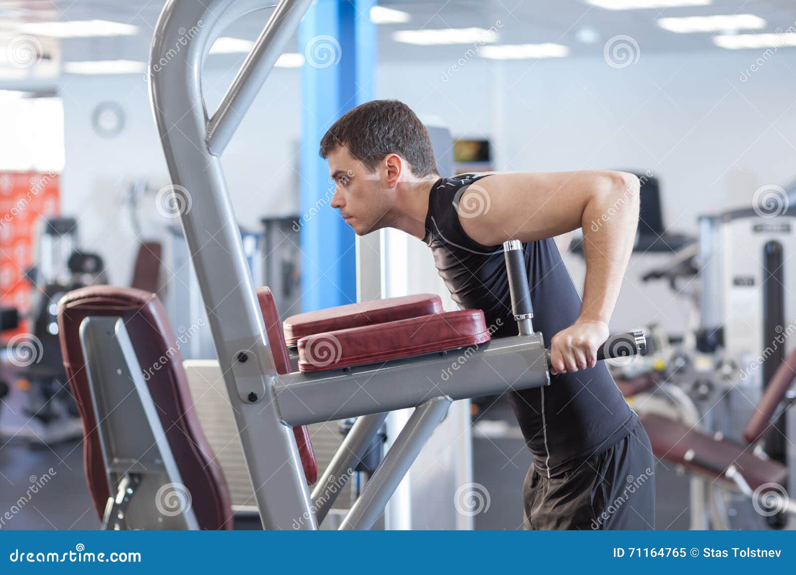 Young Muscular Man Duing Workout in the Gym Stock Image - Image of ...