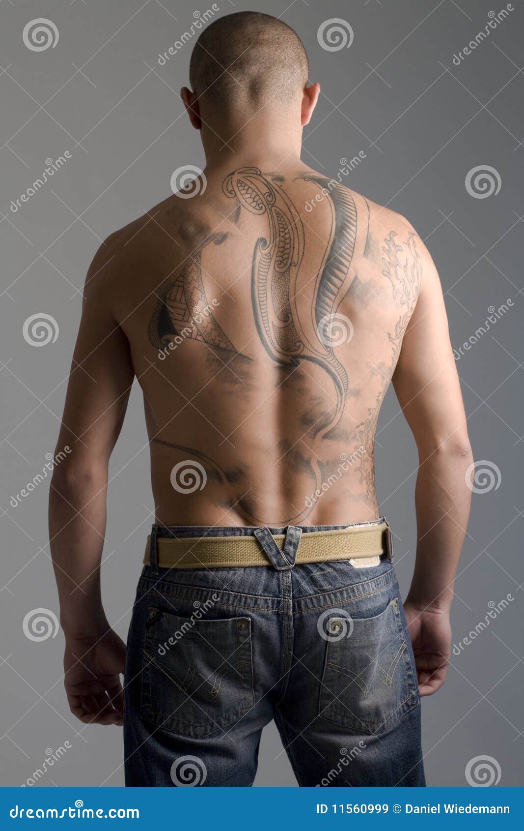 Young Muscular Tattooed Man Stock Image - Image of strong, male: 11560999