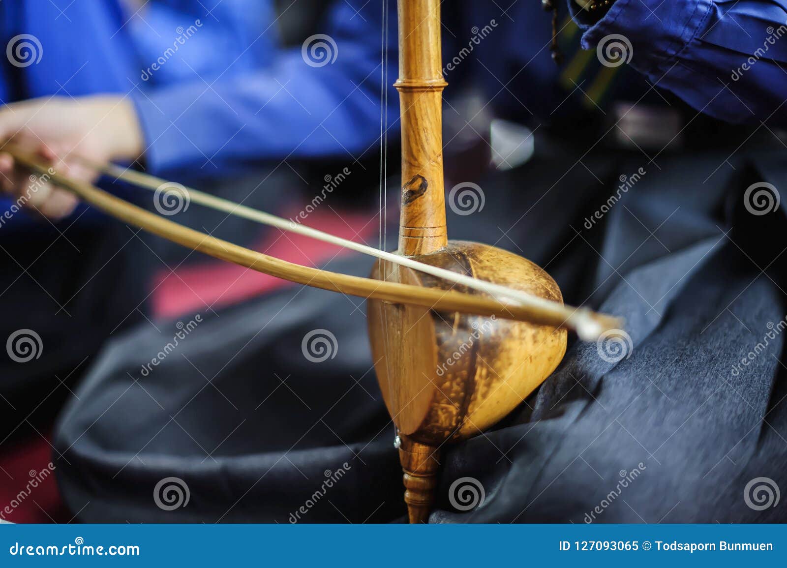 Young Musicians Playing Fiddle on Concert Stock Image - Image of ...