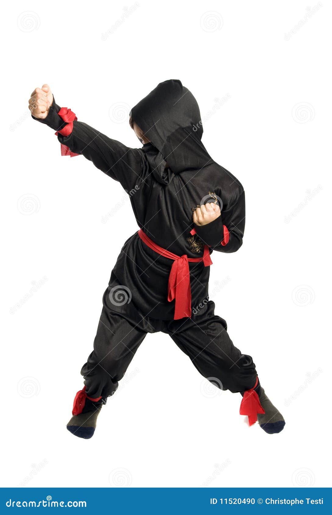 Young Ninja stock photo. Image of human, asian, judo - 11520490