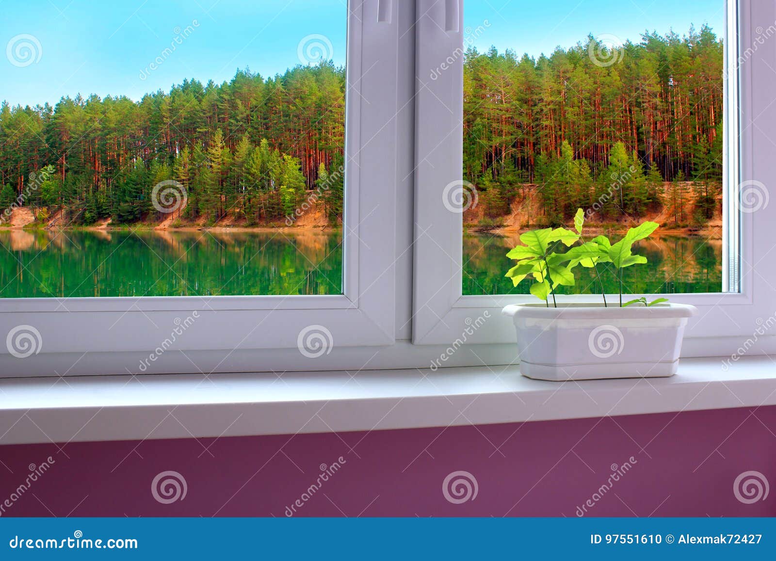 Young Oaks on the Window Sill of Window Overlooking the Forest Lake ...