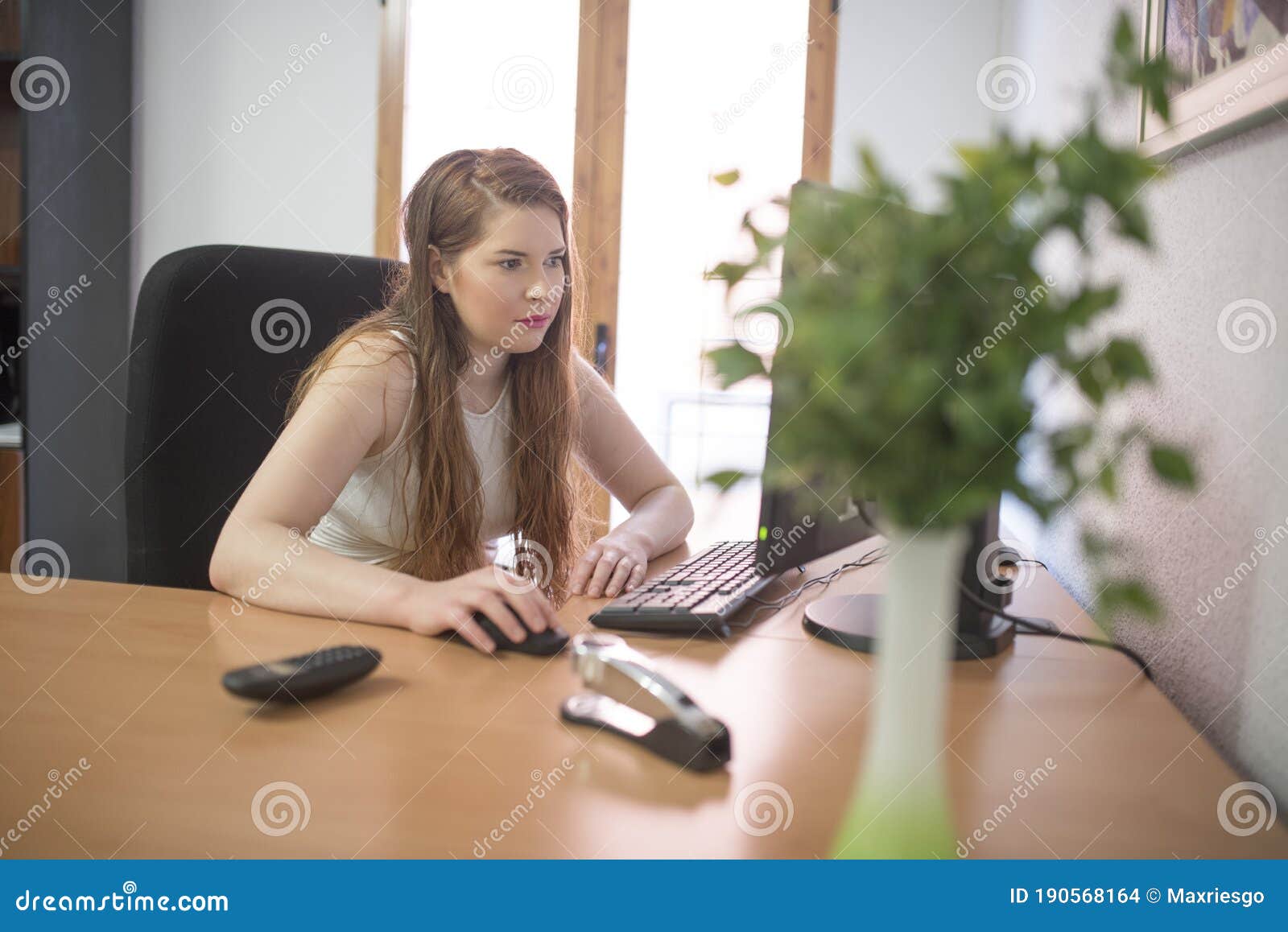 Young Office Worker at Computer Working with Pc Stock Photo - Image of ...