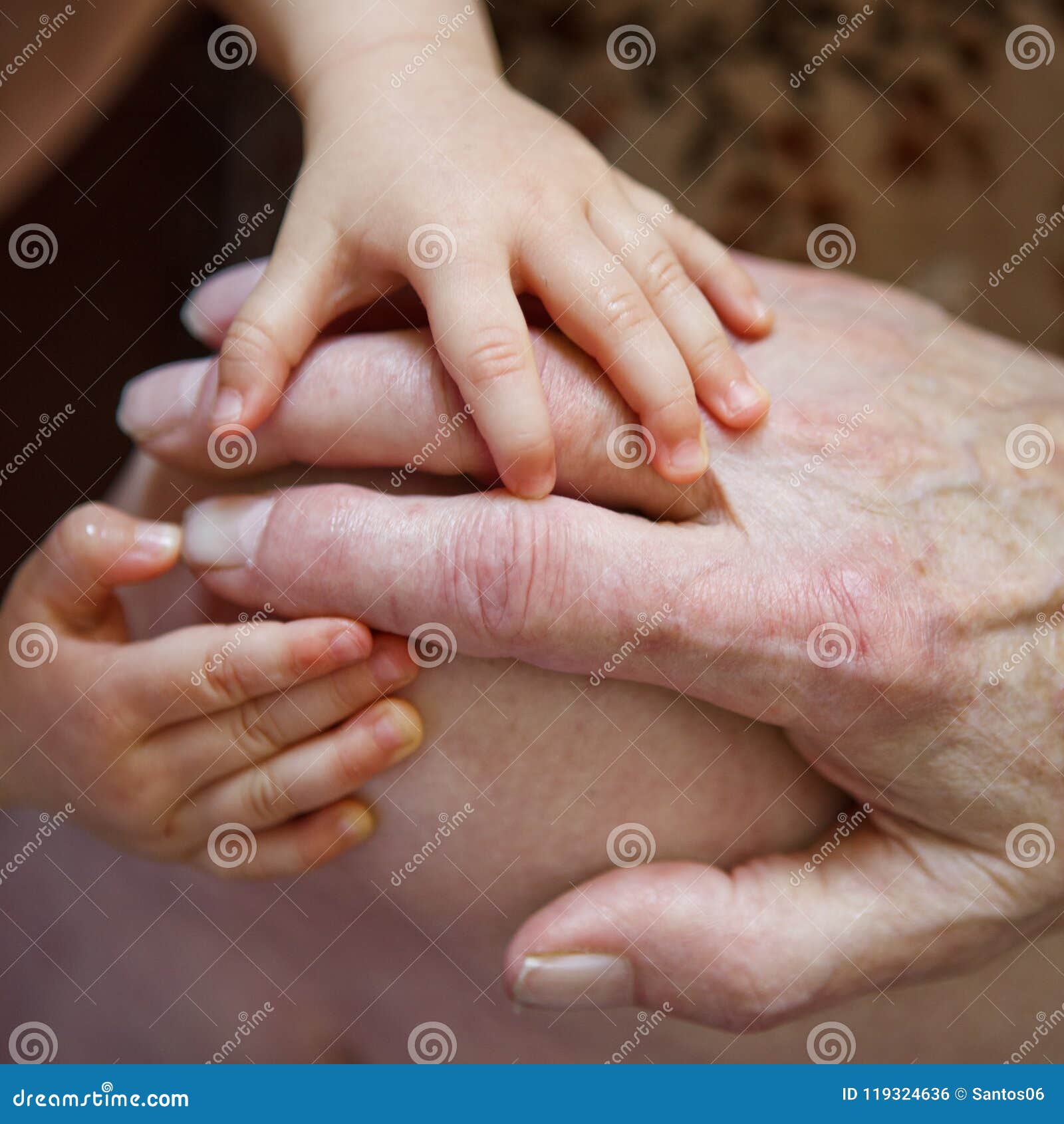 Young and old hand stock photo. Image of closeup, grandmother - 119324636
