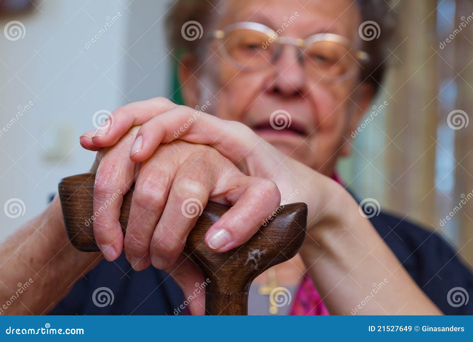 112 Cane Pointer Stock Photos - Free & Royalty-Free Stock Photos from ...