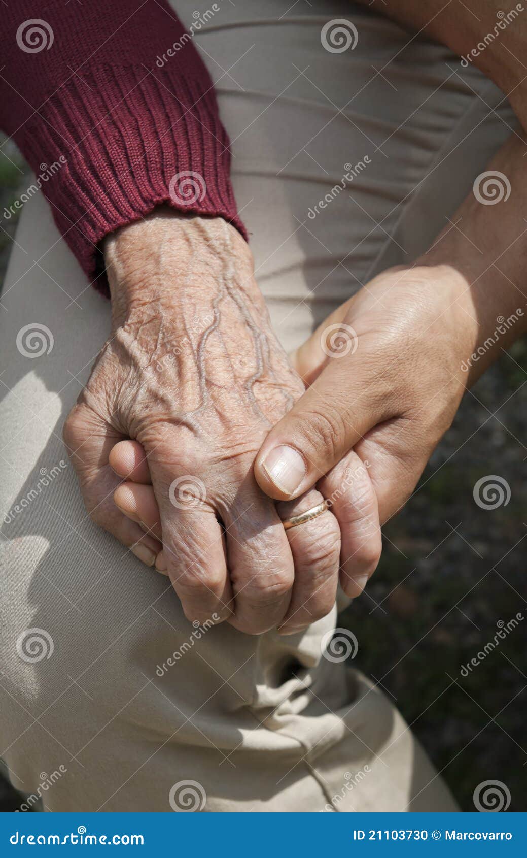 Young and old hands stock photo. Image of human, grandma - 21103730