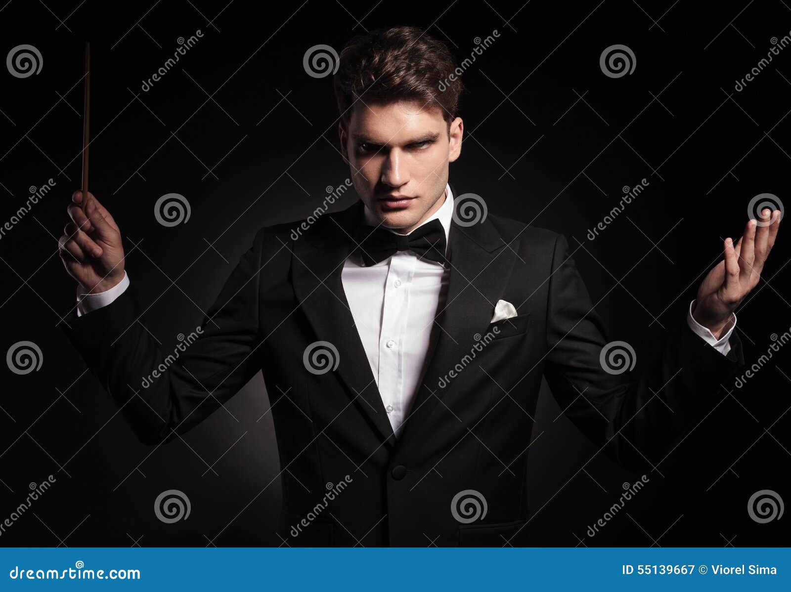 Young Orchestra Conductor Holding a Stick Stock Image - Image of ...