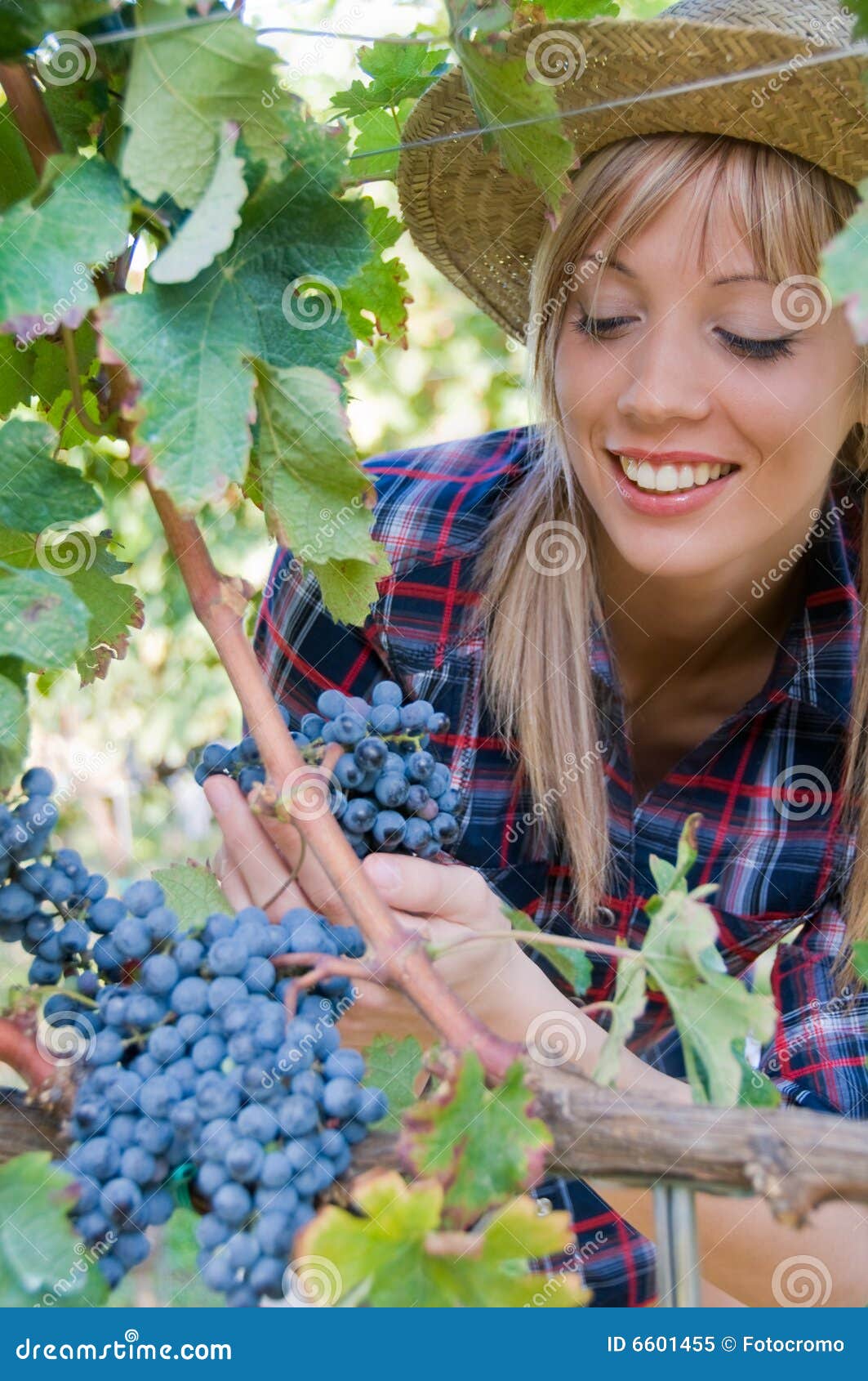 Young peasant woman stock image. Image of fall, black - 6601455