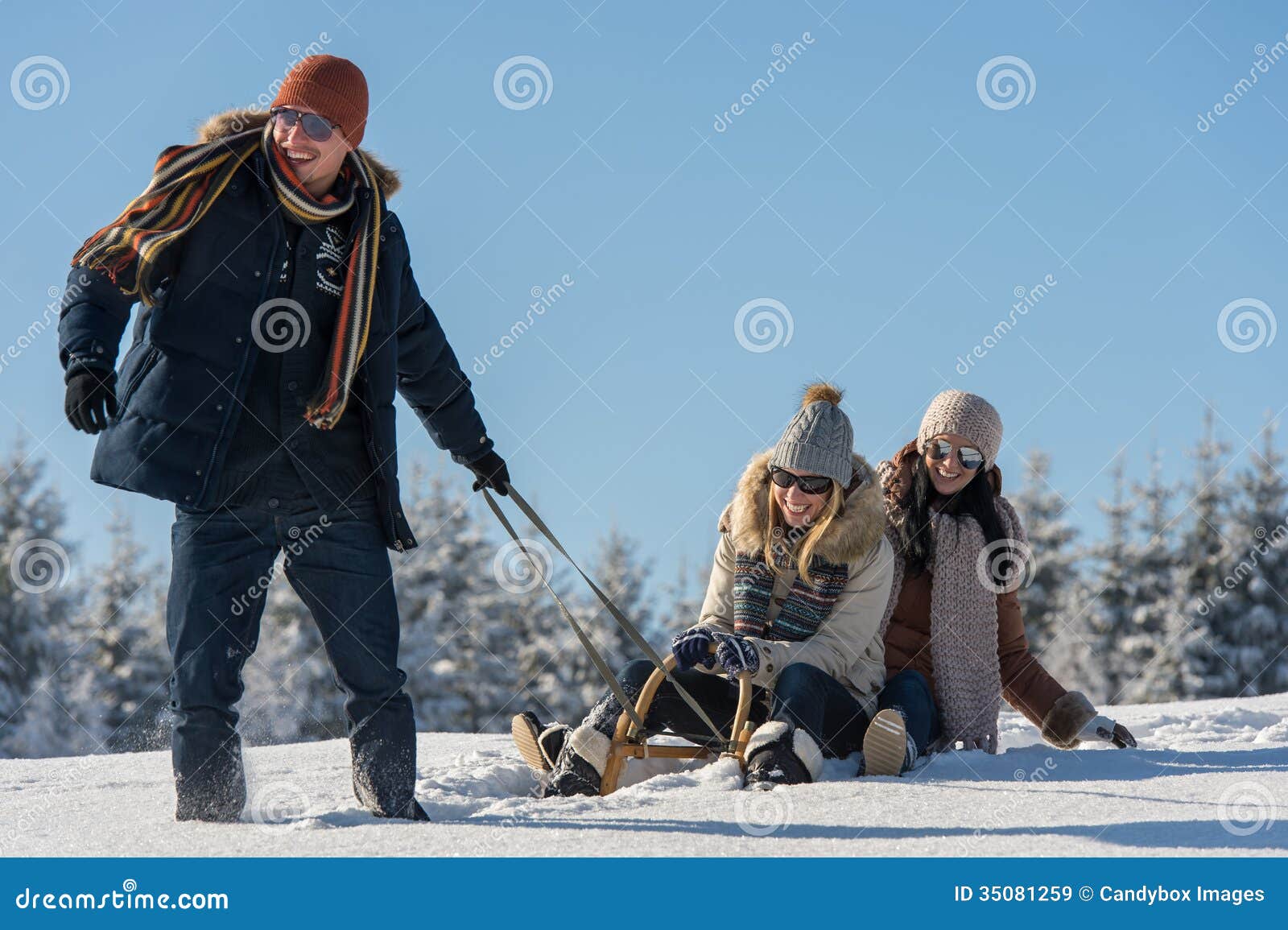 Young People Enjoy Sunny Winter Day Sledge Stock Image - Image of ...