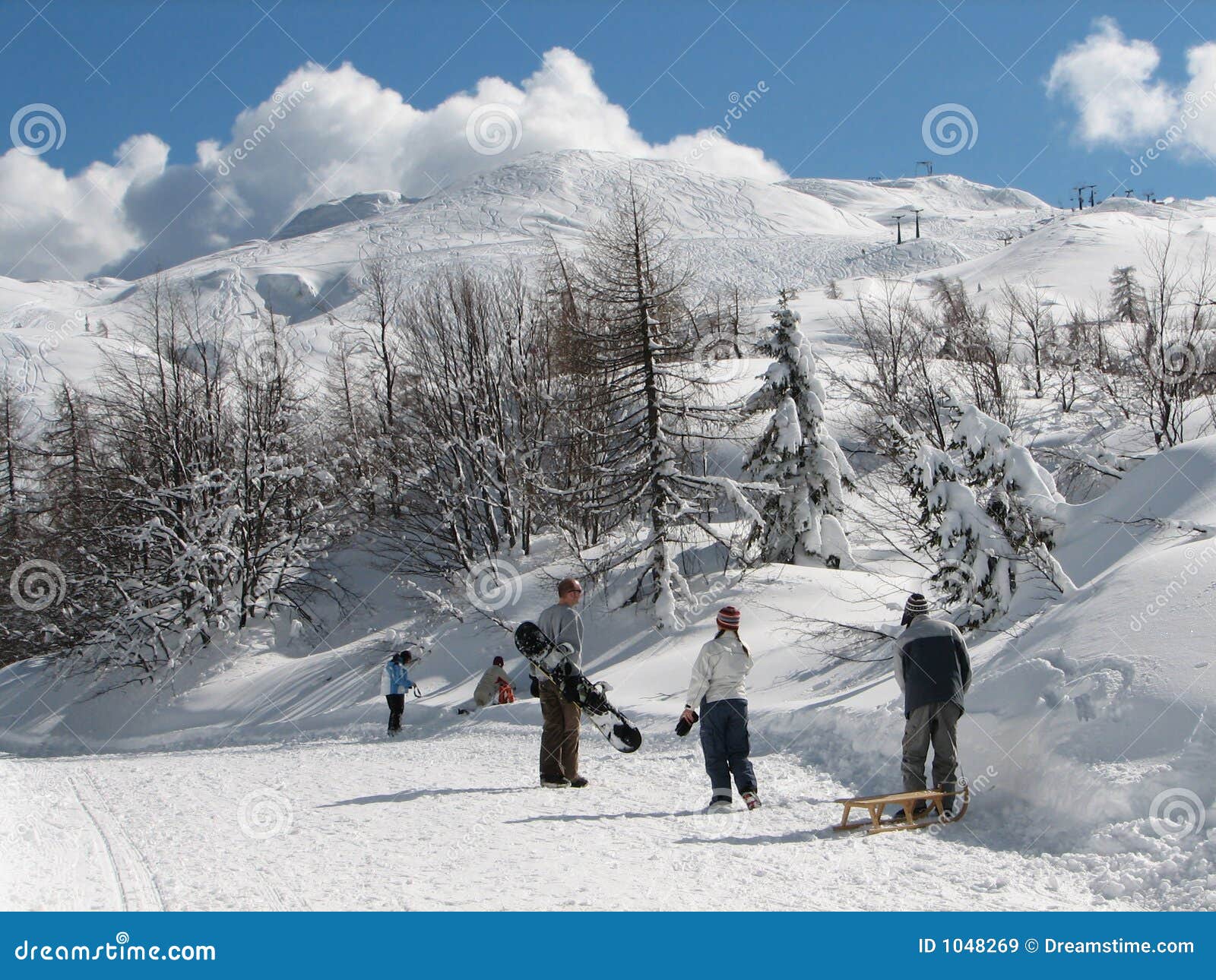 People Doing Activities In Winter