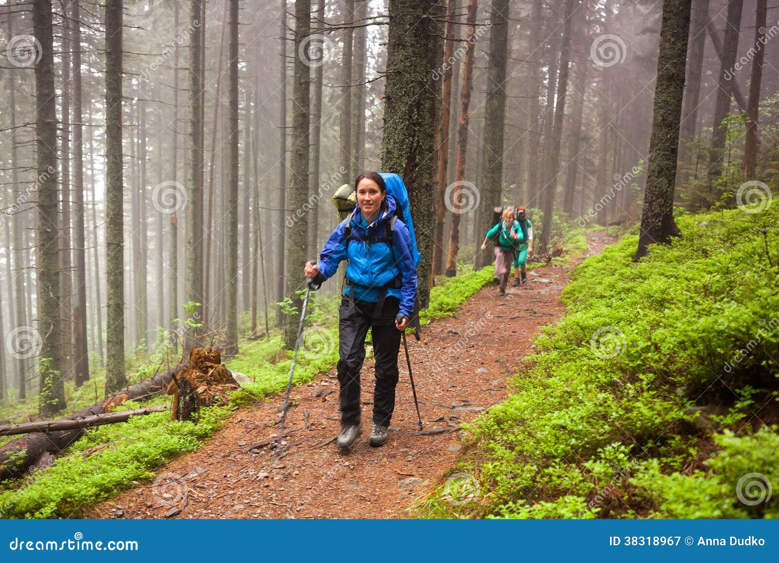 Young People are Hiking in Deep Forest Stock Image - Image of hiking ...