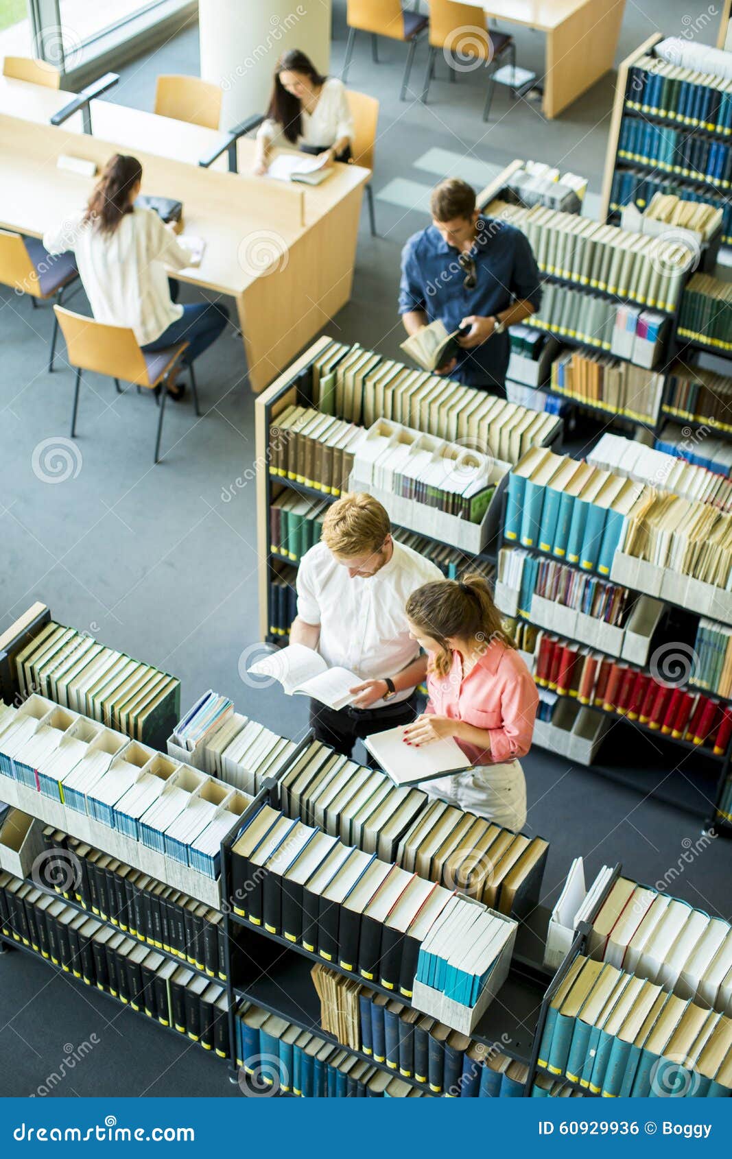 Young People in the Library Stock Photo - Image of young, reading: 60929936