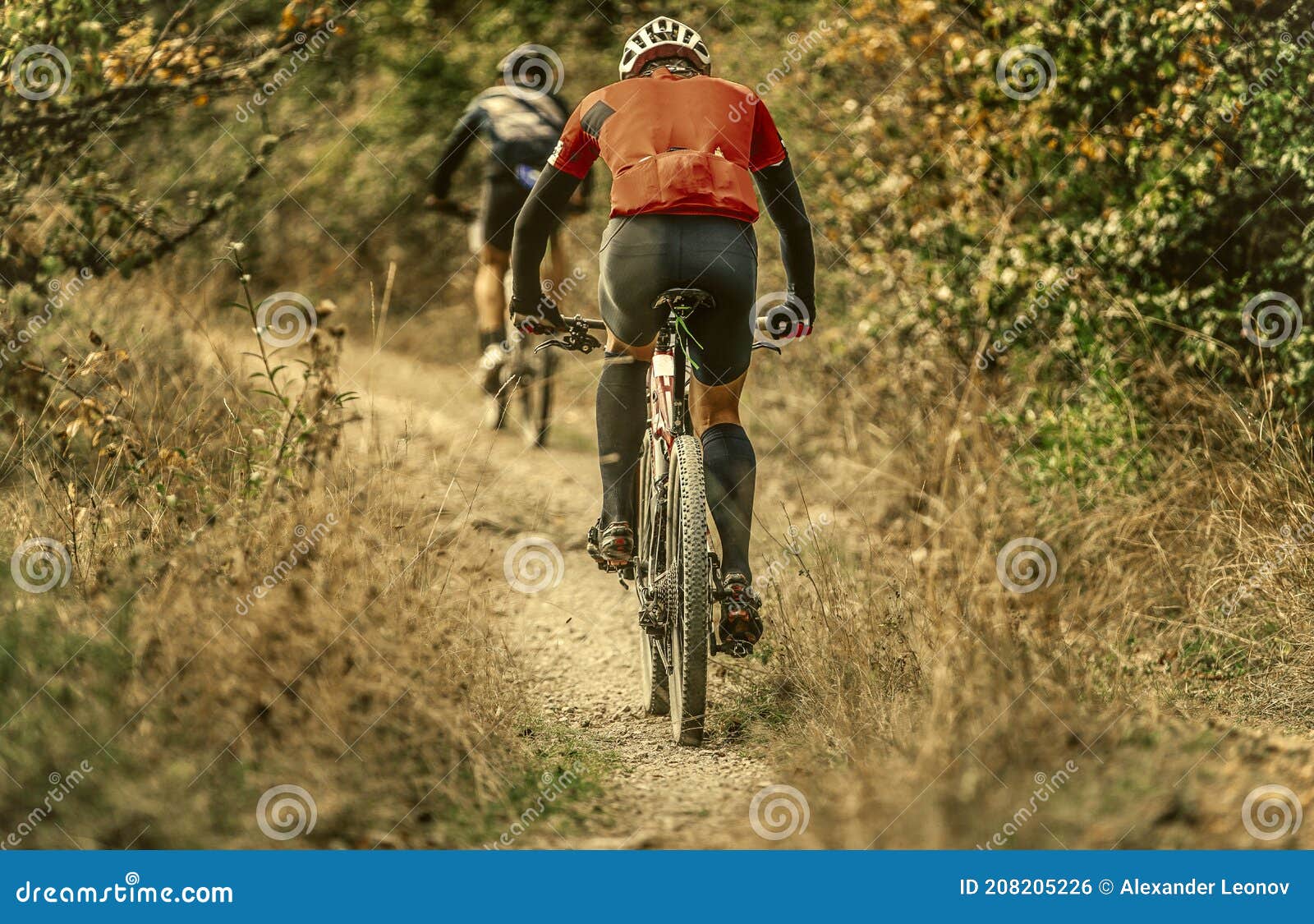 Young People Ride a Forest Path on Bicycles. Stock Photo - Image of ...