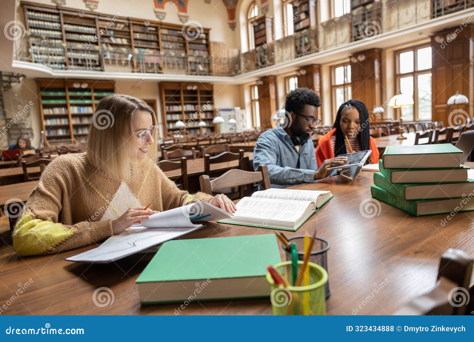 Young People Studying in the Library and Looking Involved Stock Photo ...