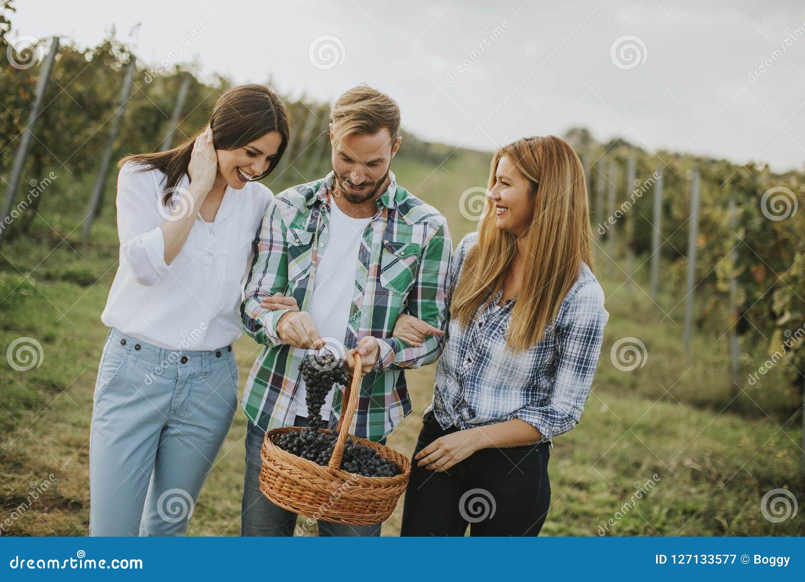 Young people in vineyard stock image. Image of wine - 127133577