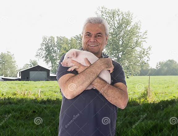 Young pig and man stock photo. Image of young, outdoor - 315490868