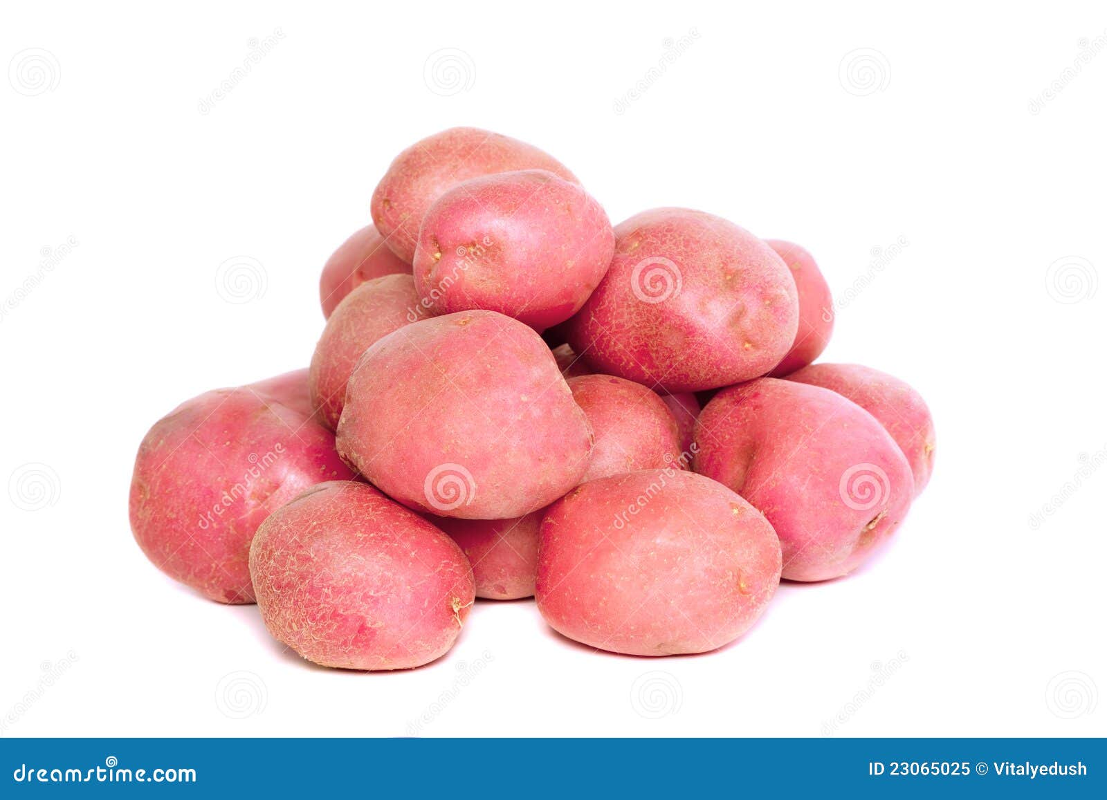 Young Pink Potato. Isolated Stock Image - Image of bunch, harvest: 23065025