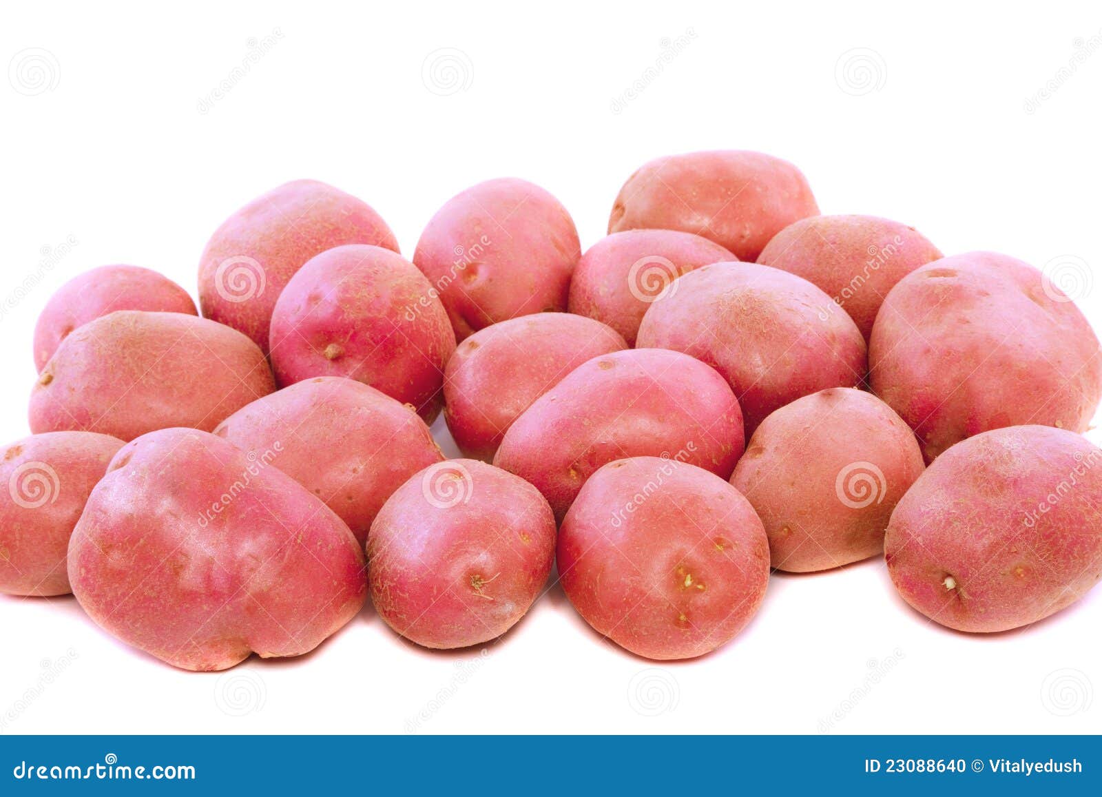 Young Pink Potato. Isolated Stock Photo - Image of legume, health: 23088640