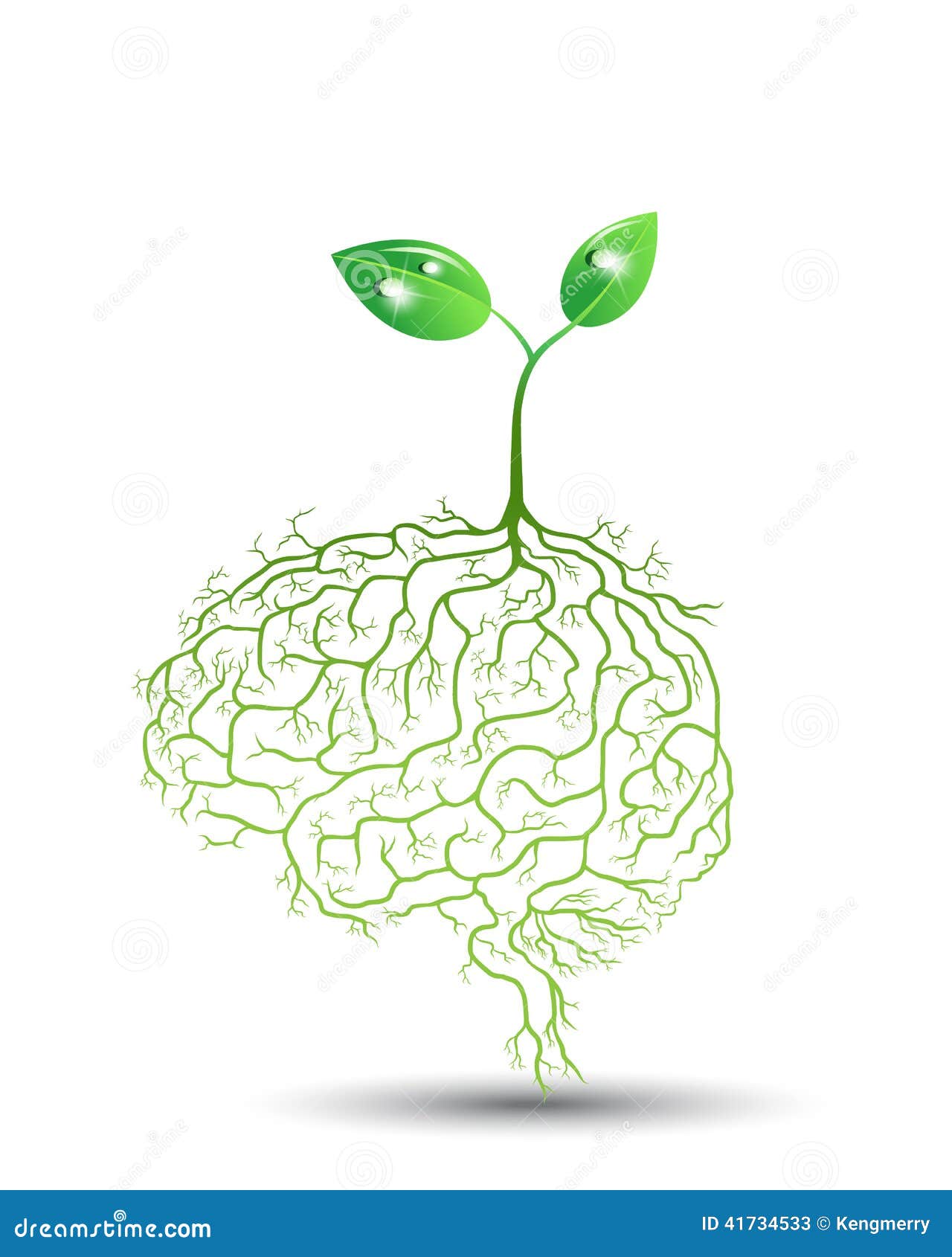 Young Plant Sprout Growing Inside A Wood Trunk, In A Forest Damaged By ...