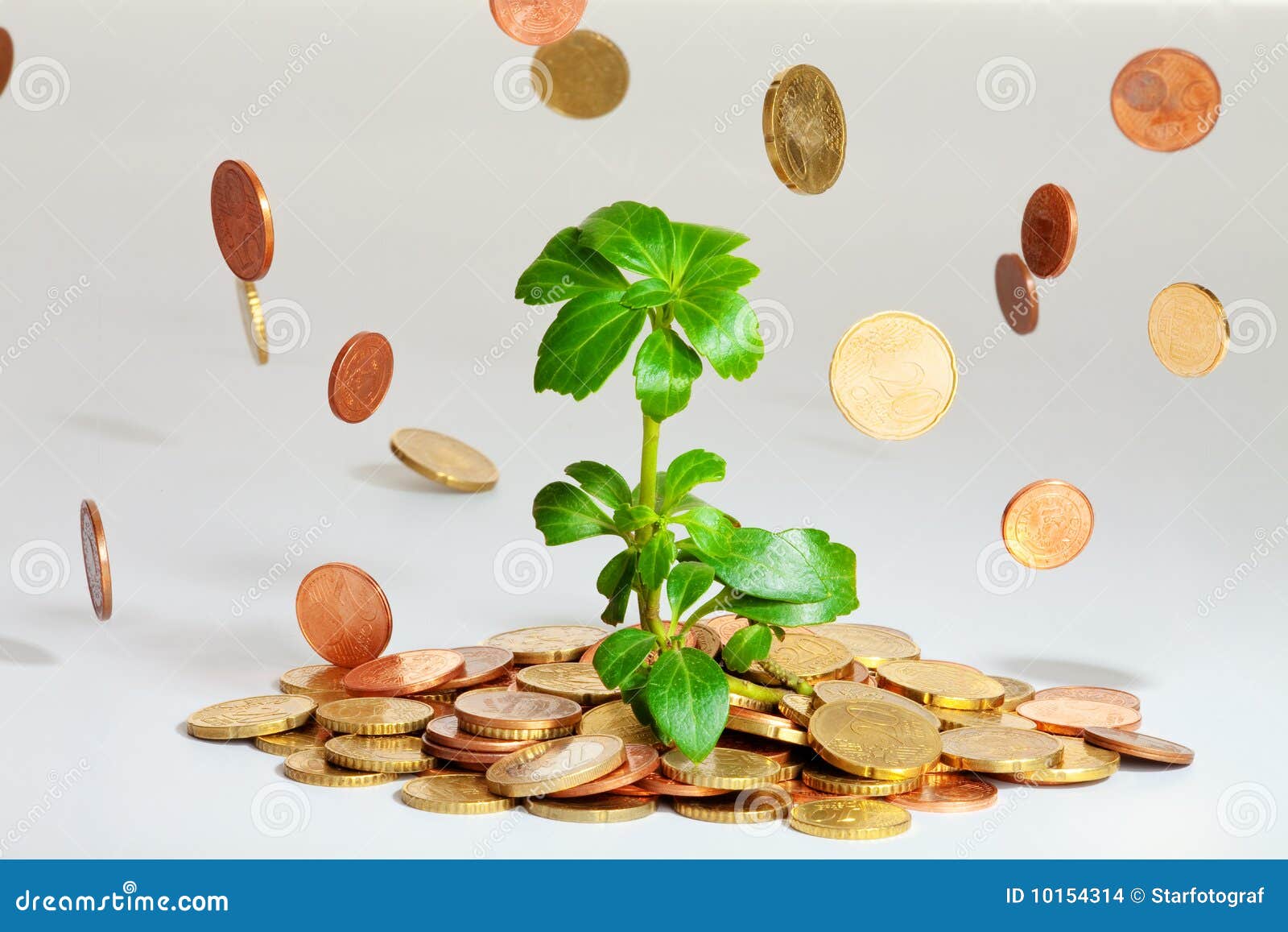Young Plant Growing on Coins Stock Photo - Image of debt, credit: 10154314
