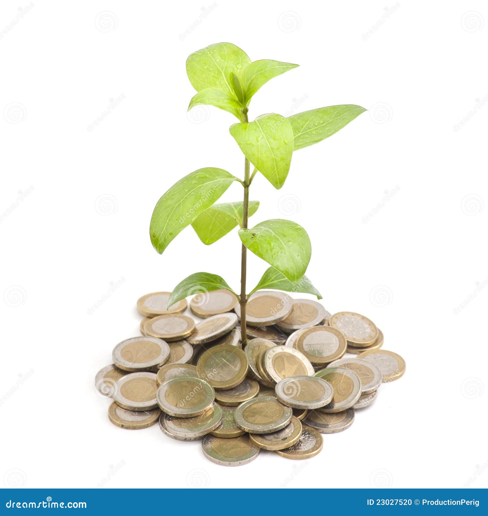 Young Plant Growing from Coins Stock Photo - Image of improvement ...