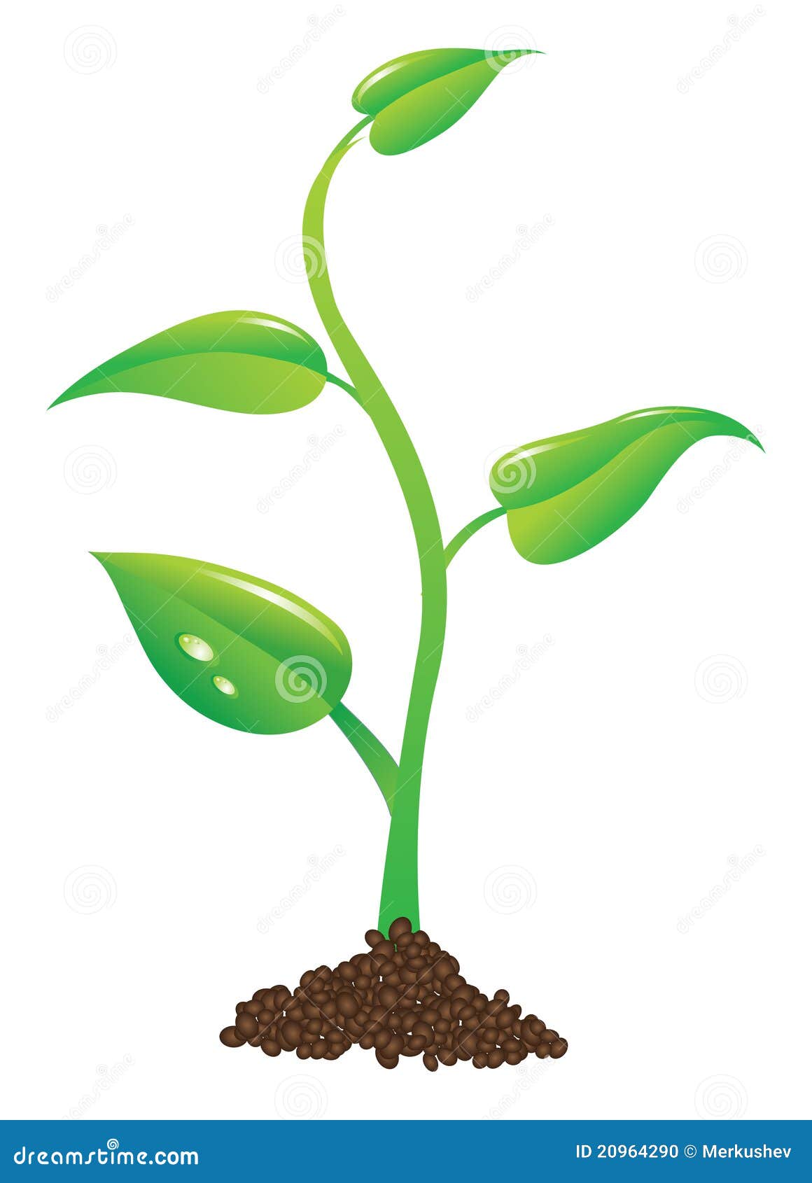Young Plant Illustration Stock Photo - Image: 20964290