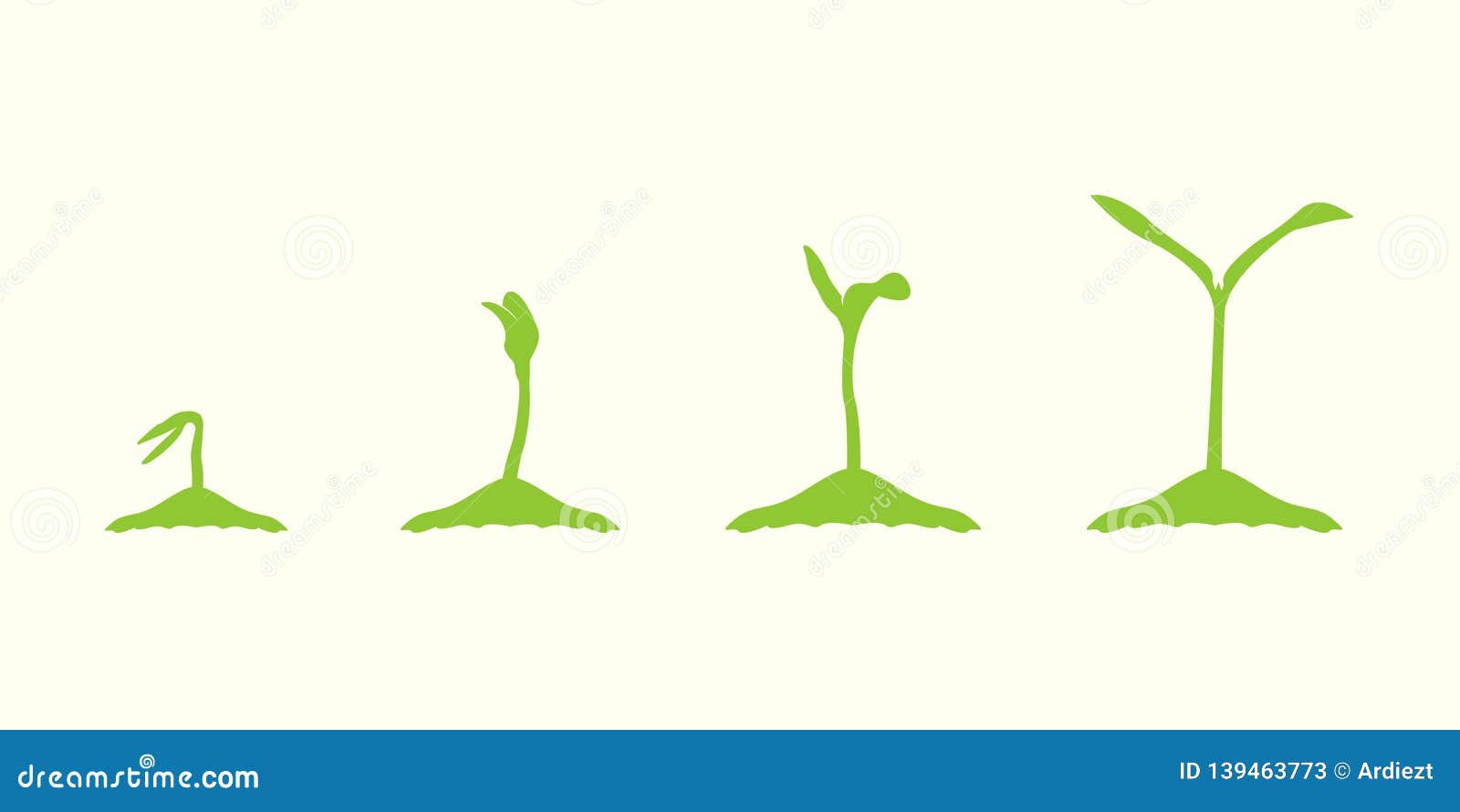 Life Process Of Golden Tree. Vector | CartoonDealer.com #14042889