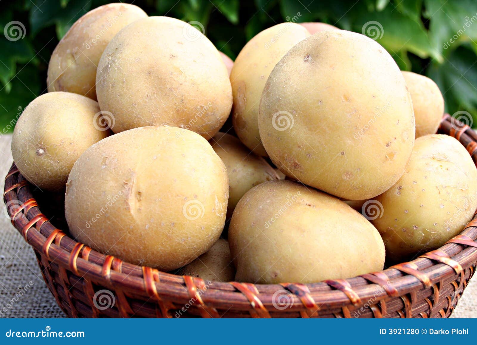 Young potato stock photo. Image of vegetable, board, cook - 3921280
