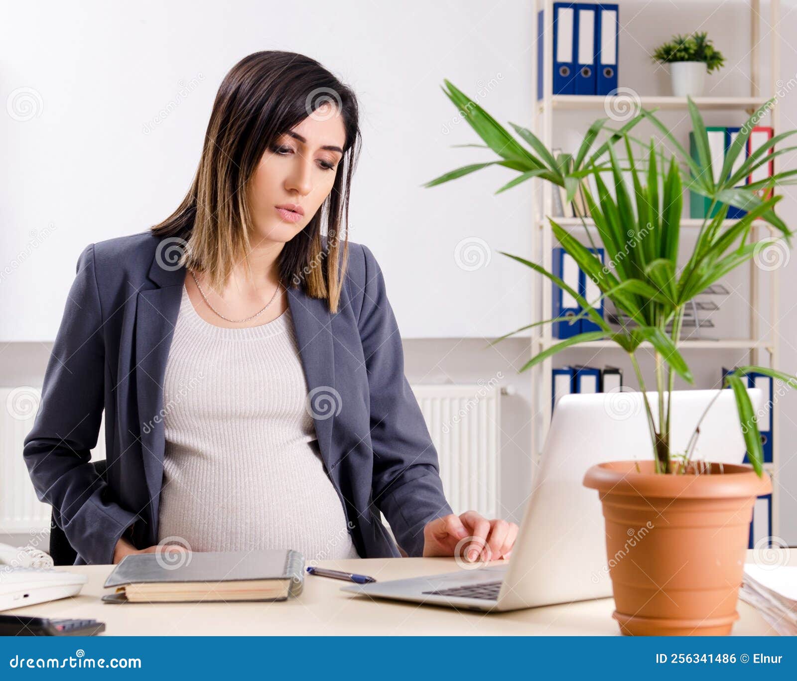 Young Pregnant Employee Working in the Office Stock Photo - Image of ...