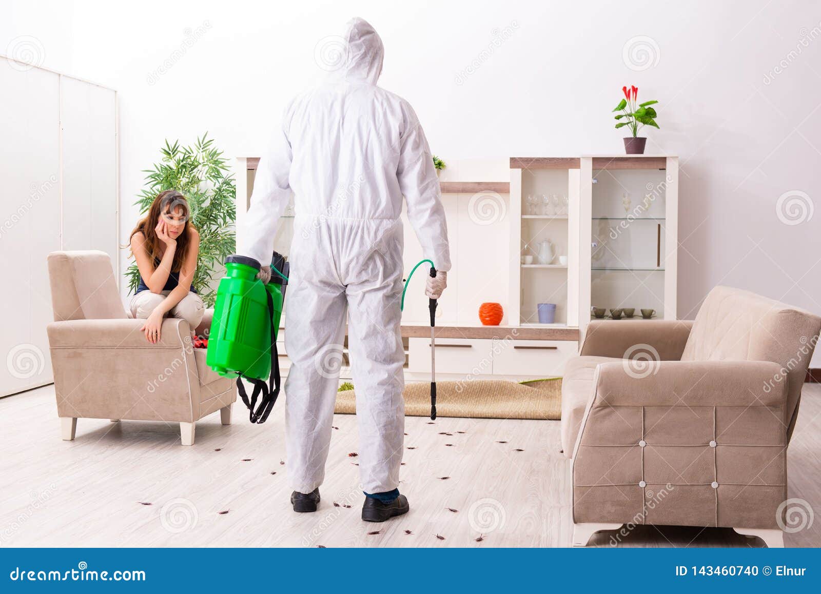 The Young Professional Contractor Doing Pest Control at Flat Stock ...