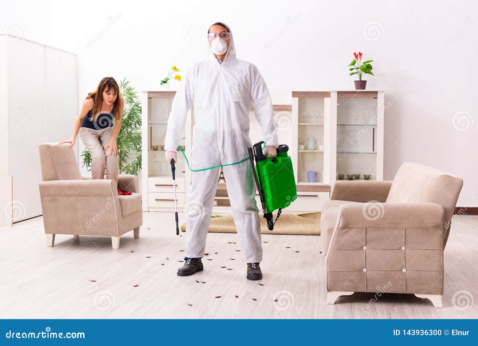 The Young Professional Contractor Doing Pest Control at Flat Stock ...