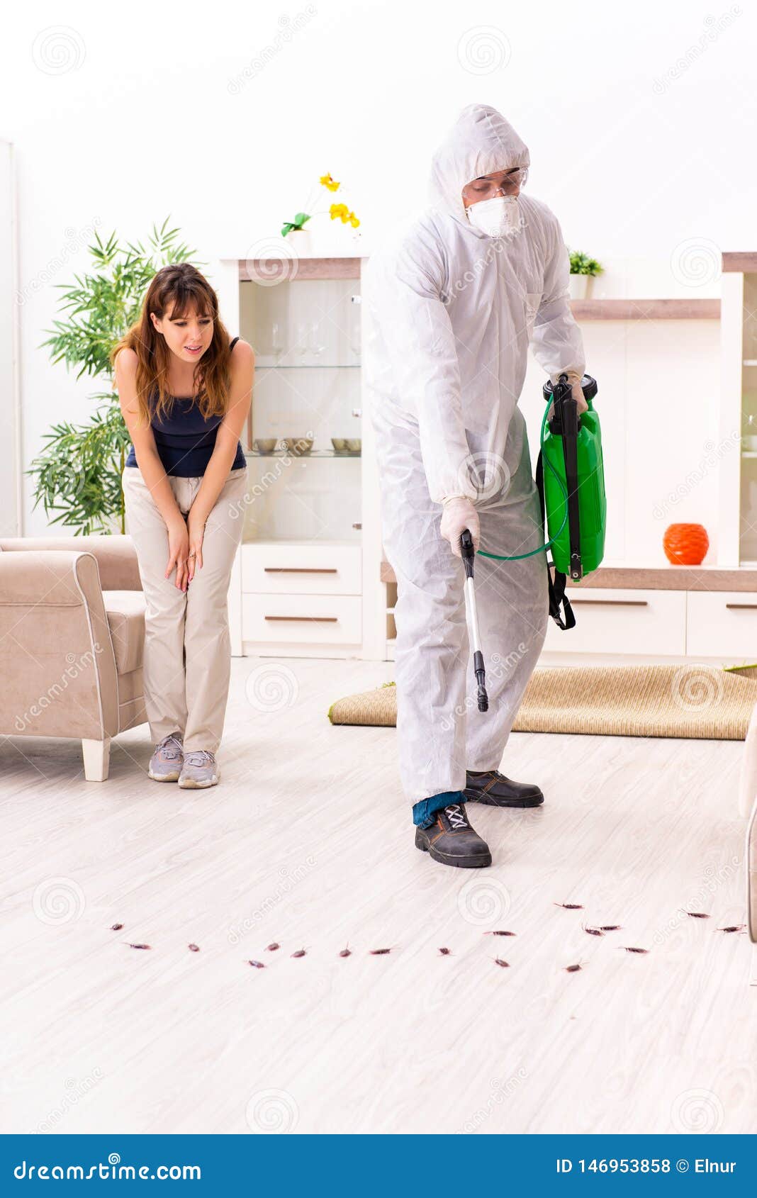 The Young Professional Contractor Doing Pest Control at Flat Stock ...