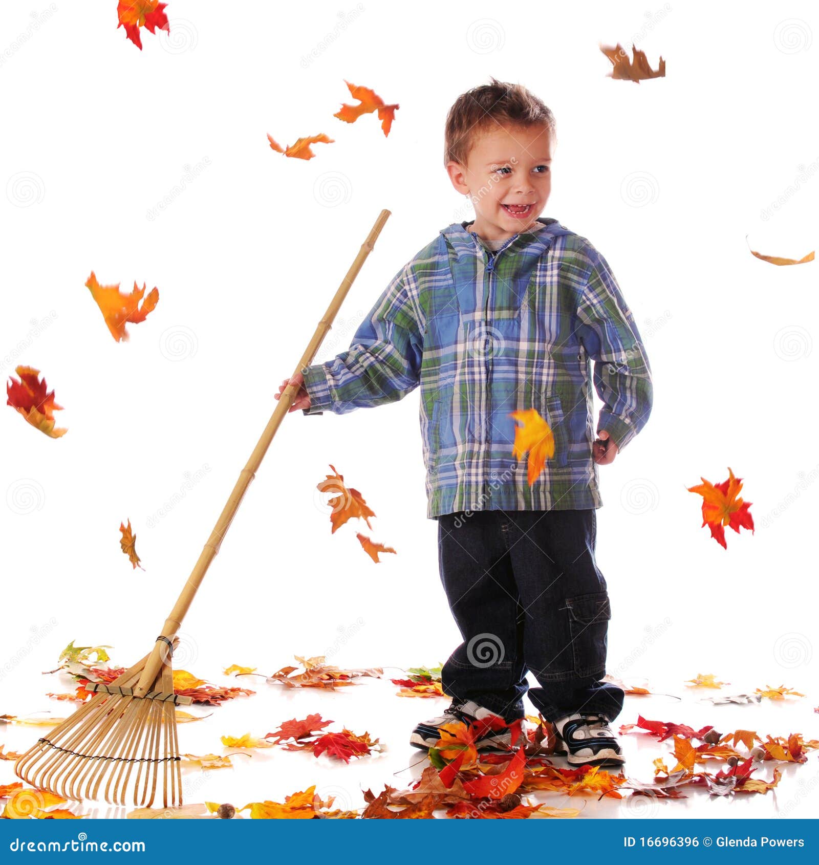 Young Raker stock photo. Image of wood, falling, plaid - 16696396