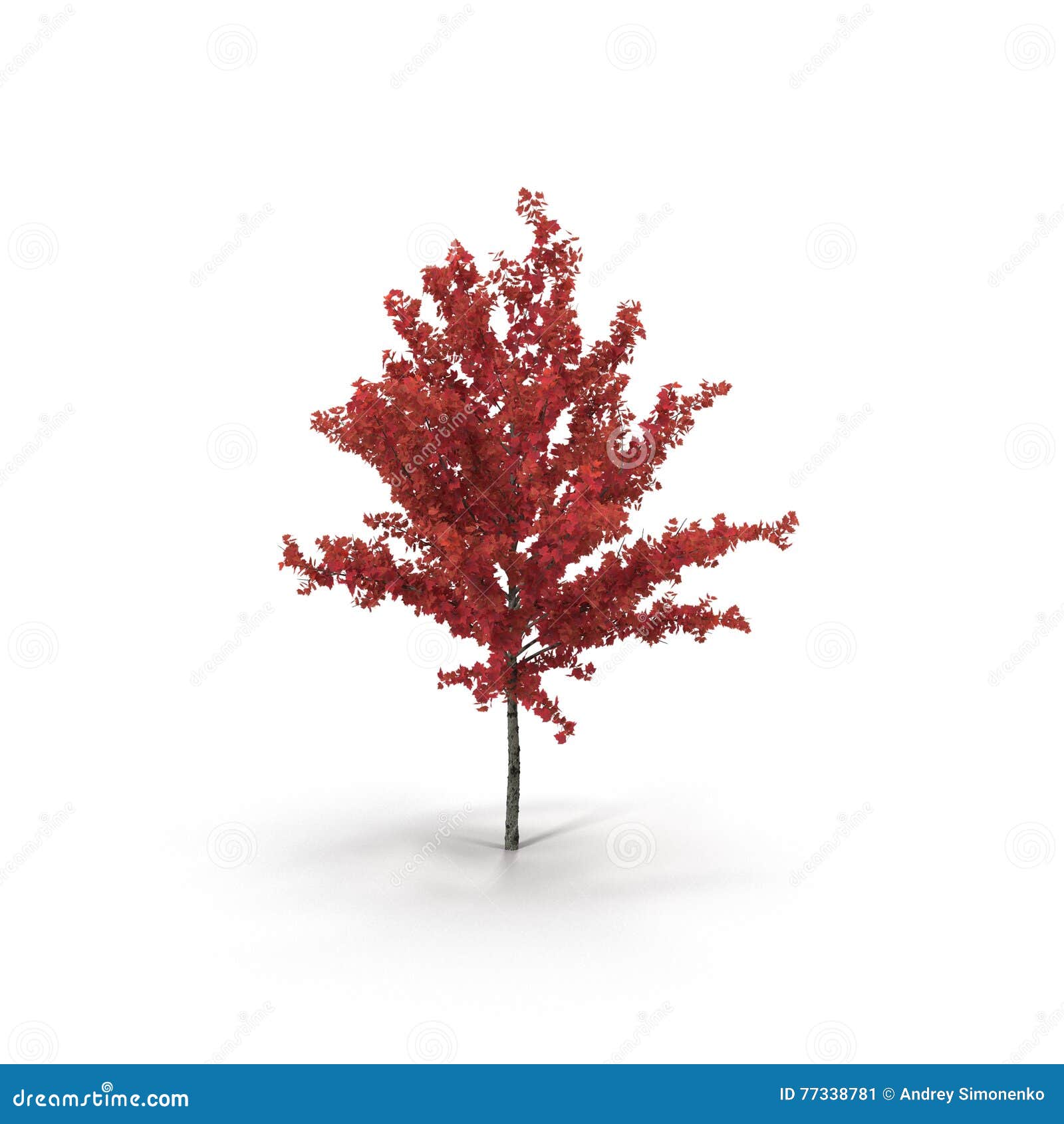 Young Red Oak Tree Isolated on White 3D Illustration Stock Illustration ...