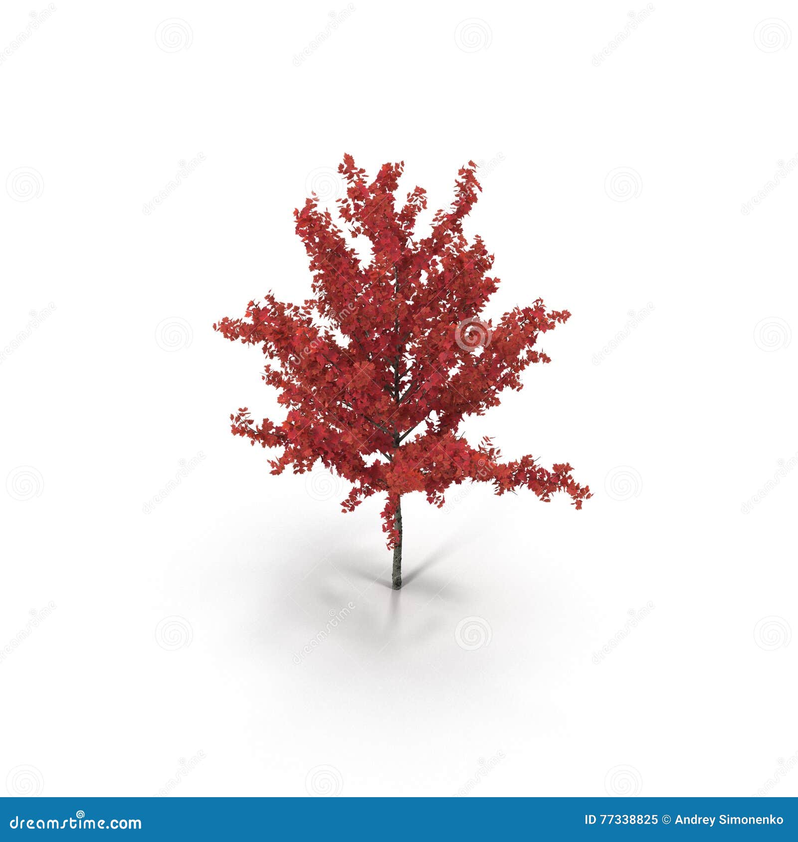 Young Red Oak Tree Isolated on White 3D Illustration Stock Illustration ...